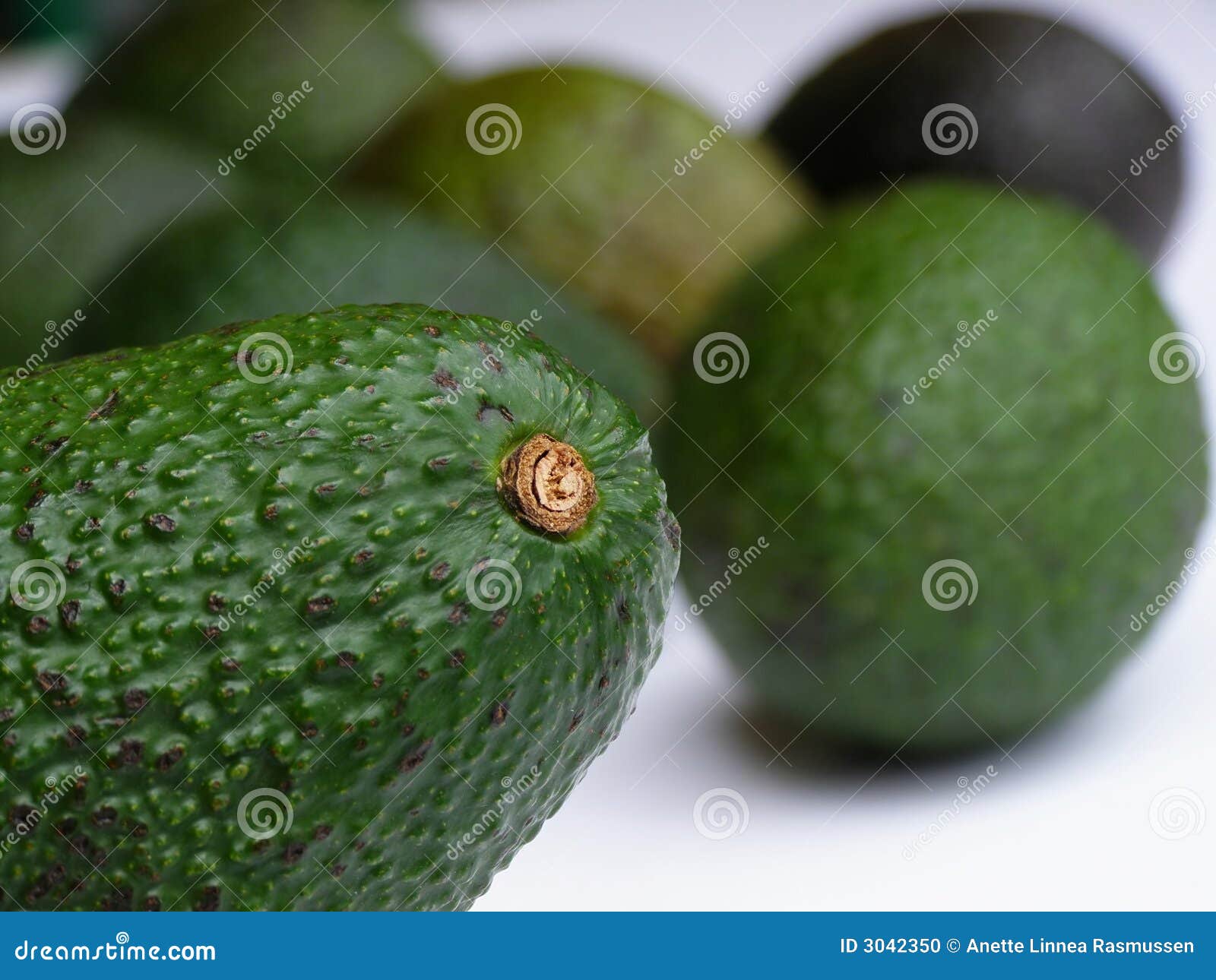 Green avocado stock photo. Image of texture, vegetable - 3042350