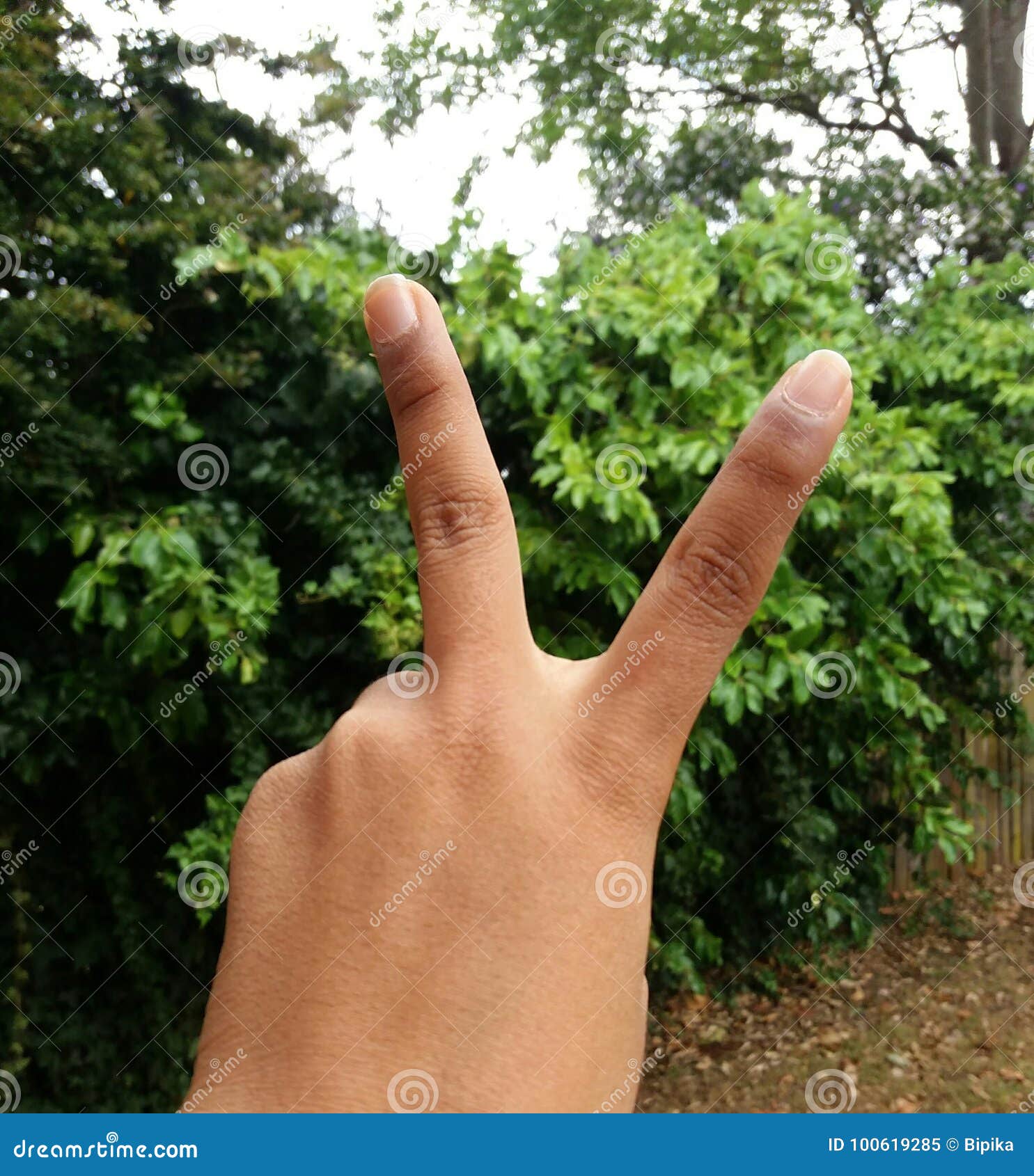 2 fingers fun pose stock image. Image of green, background - 100619285