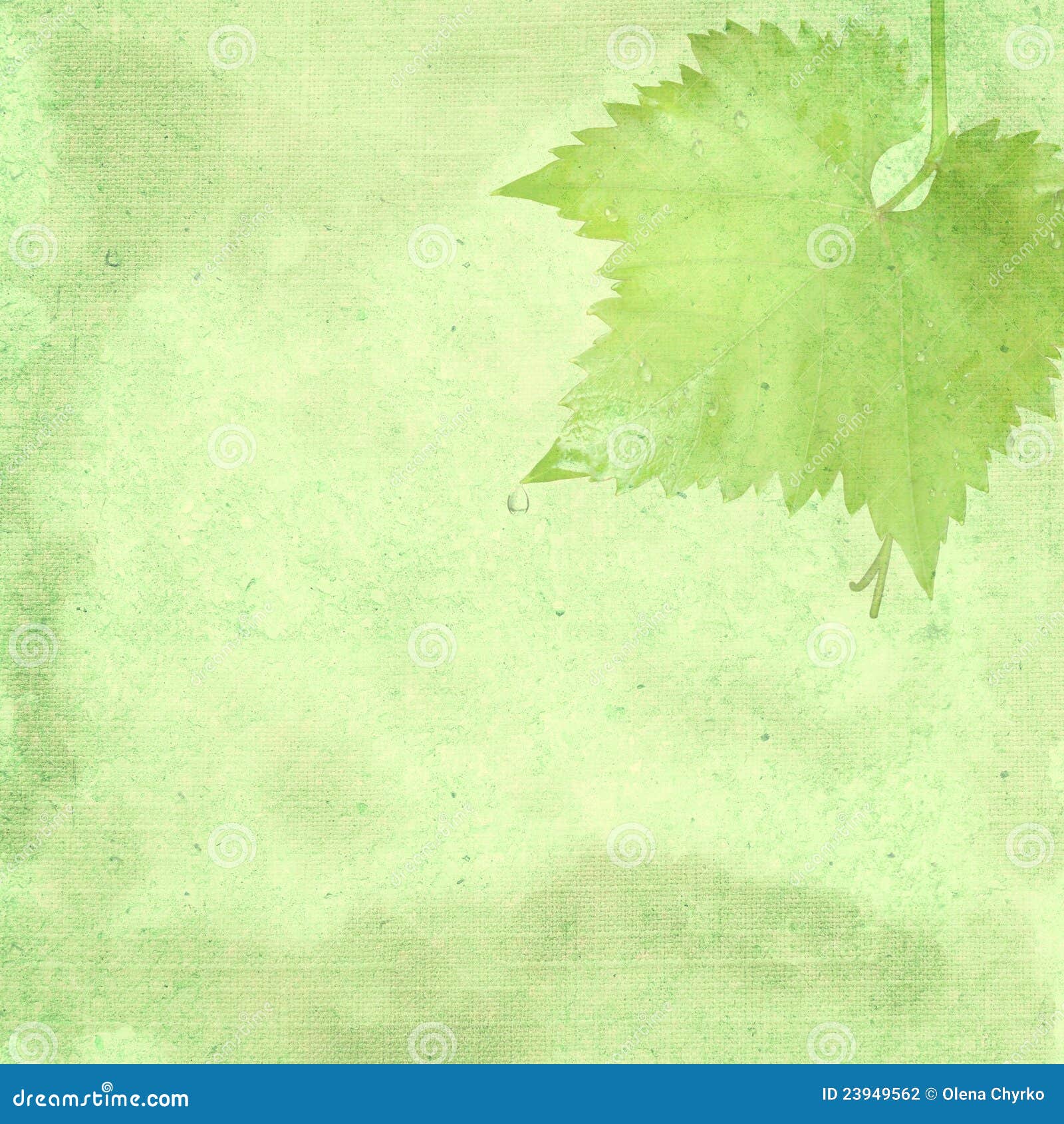 Green Powerpoint Vinr