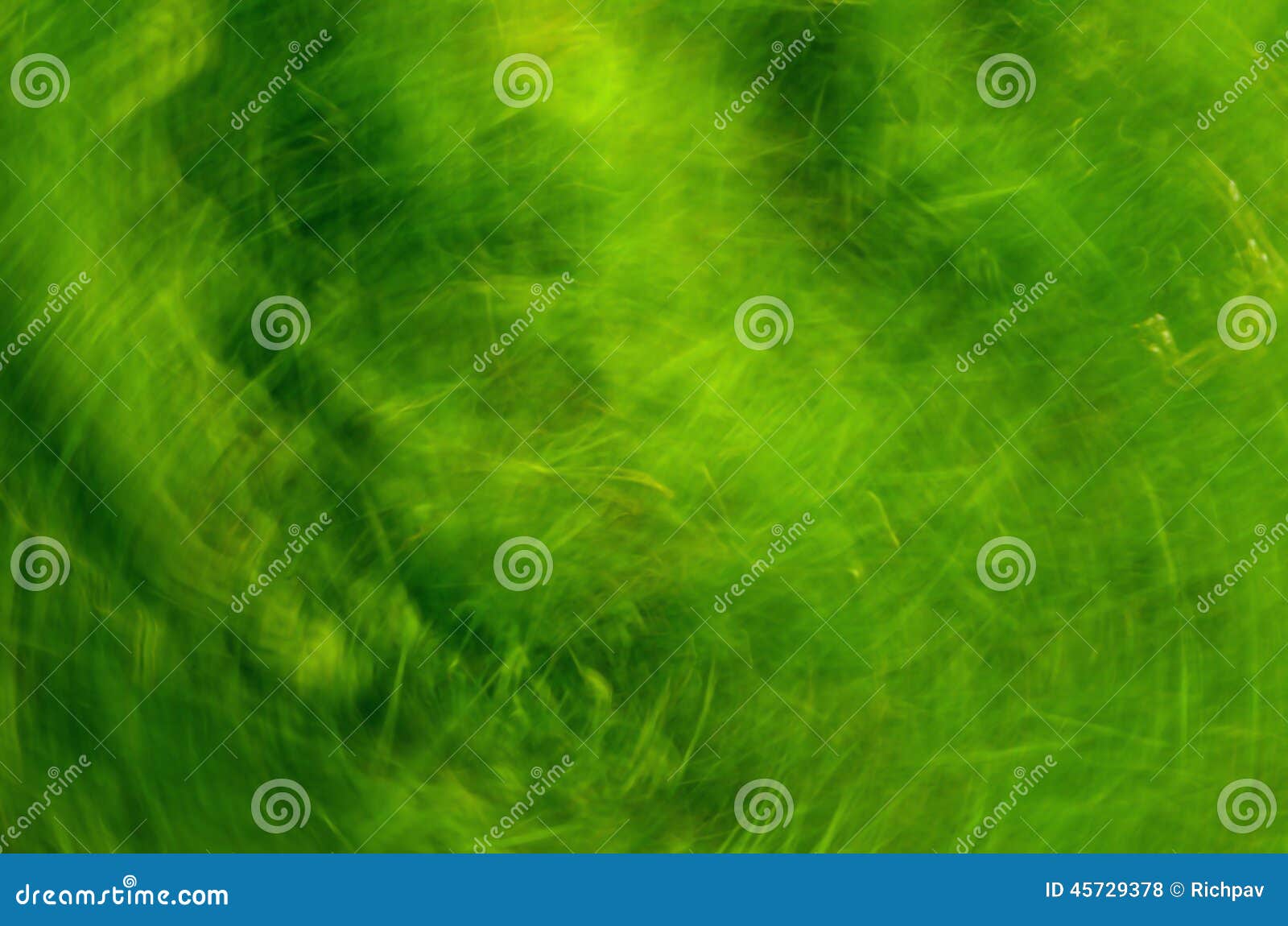 Green background stock illustration. Illustration of beauty - 45729378