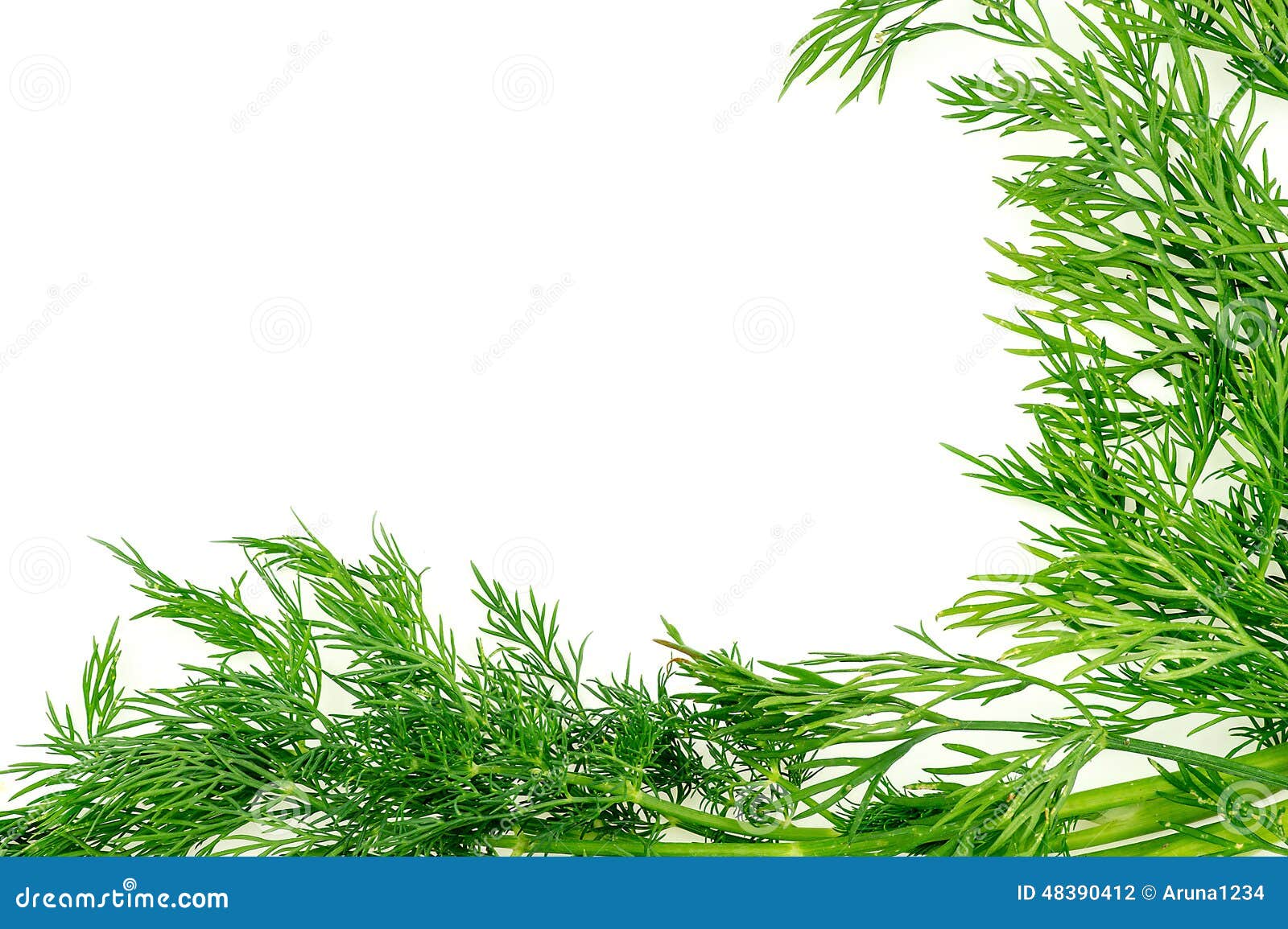 175,064 Herb Texture Background Stock Photos - Free & Royalty-Free ...