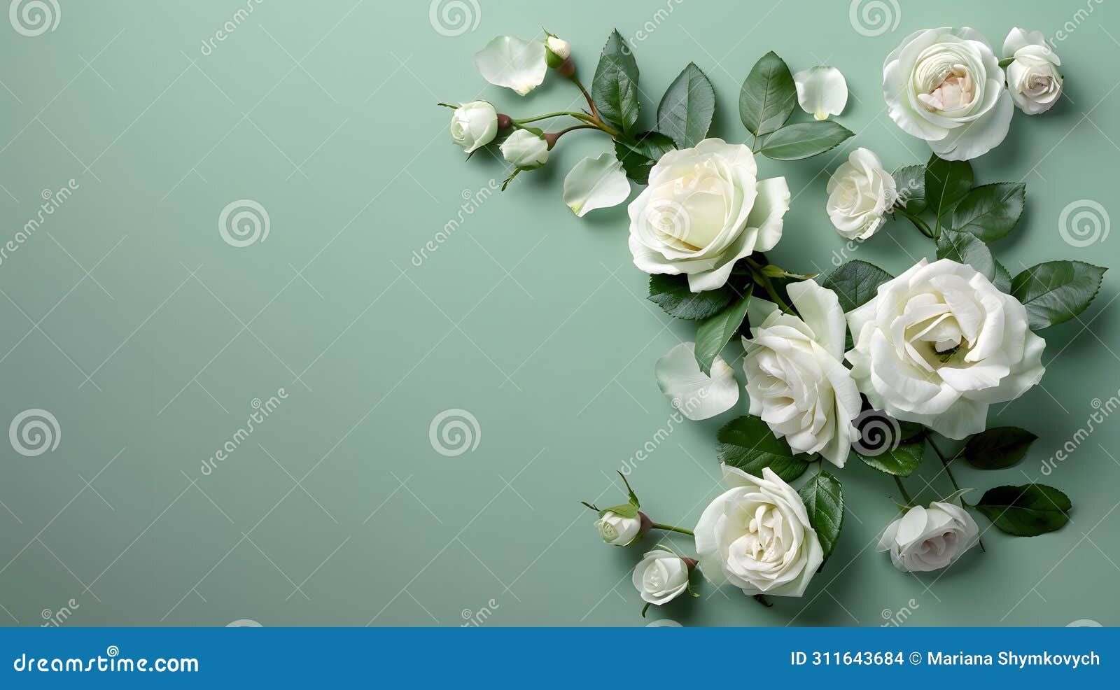 Green Background with White Roses, Top View, Place for Text. Stock ...