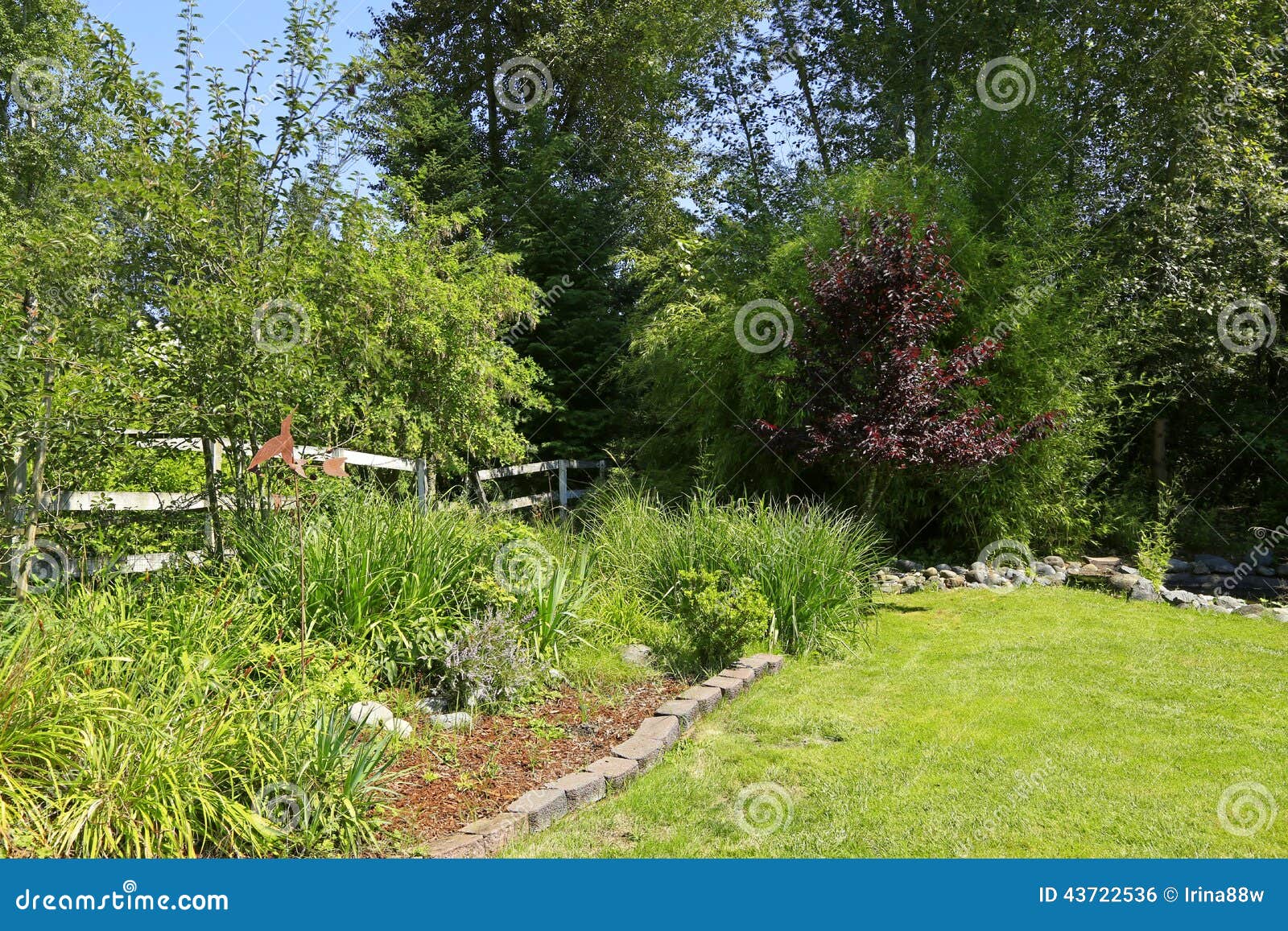 Green backyard landscape stock photo. Image of land, summer - 43722536