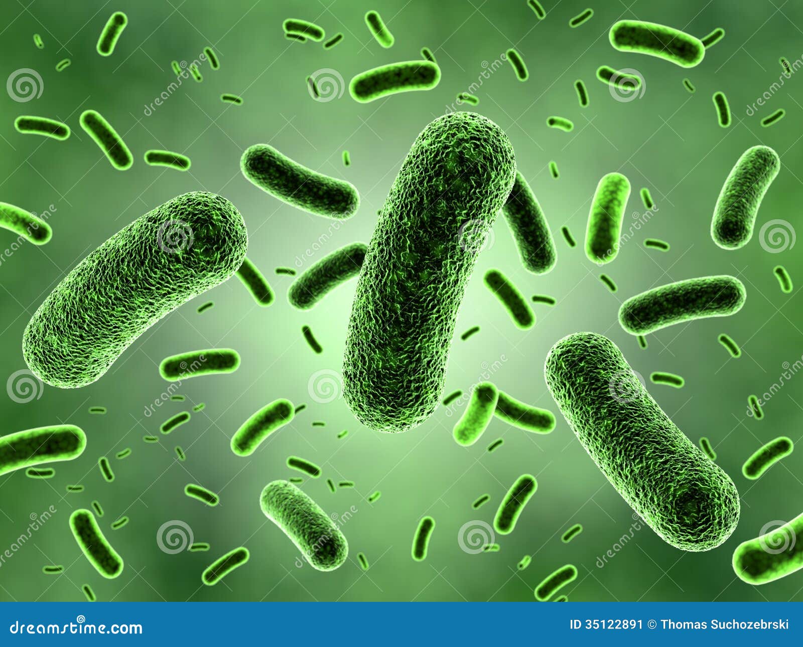 Green Bacteria Stock Illustrations – 16,146 Green Bacteria Stock ...