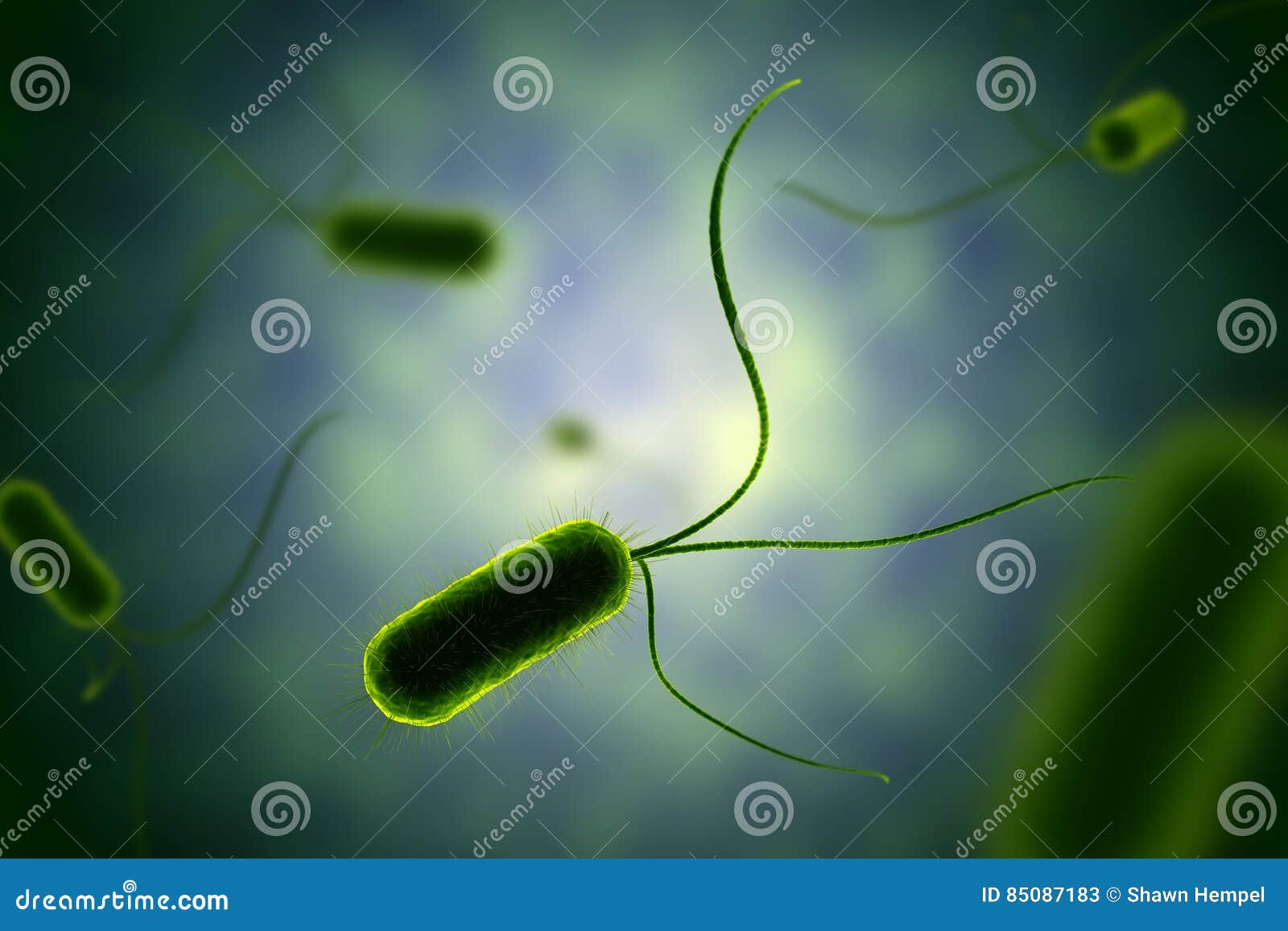 Green Bacterium with Flagella Microscopic View in Fluid Stock ...