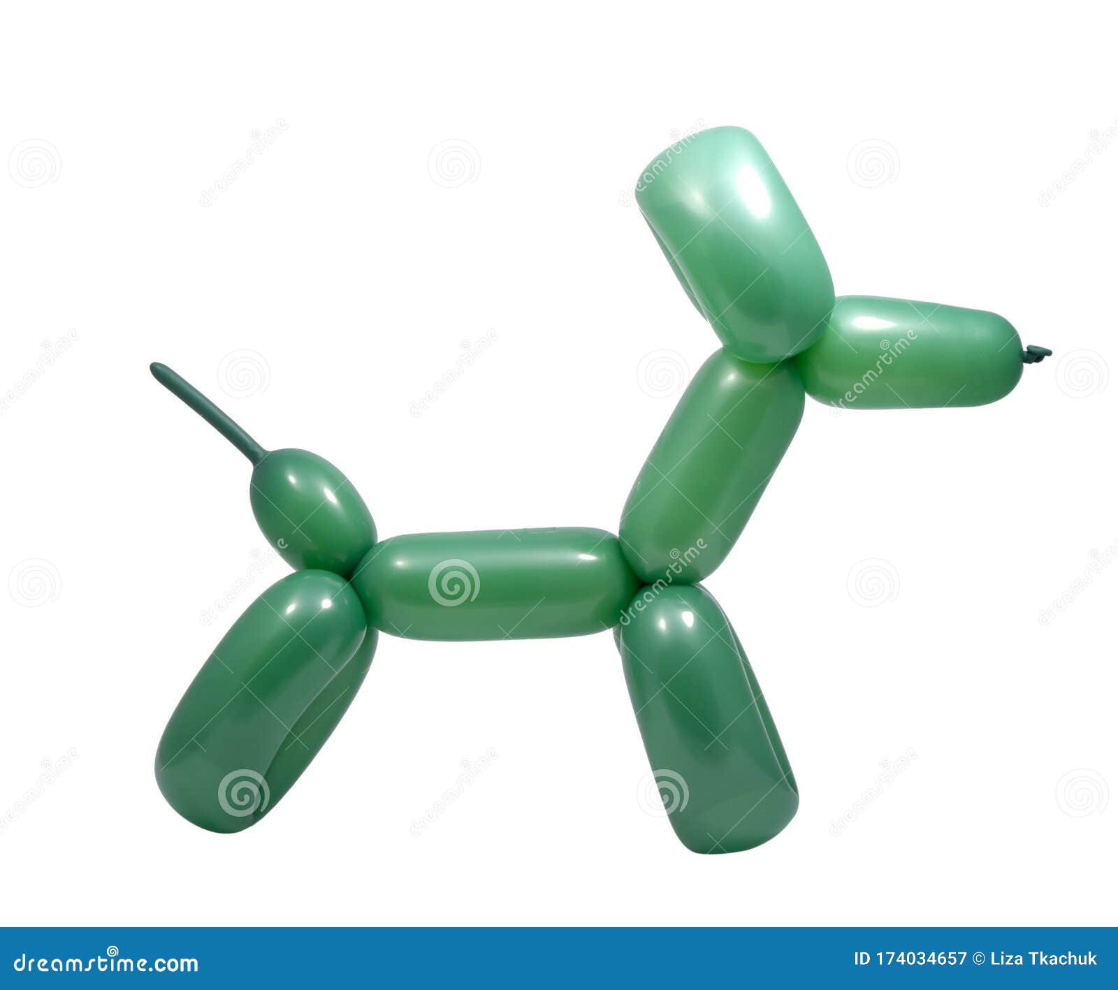 Green Balloon Model of Dog Isolated on the White Stock Image - Image of ...