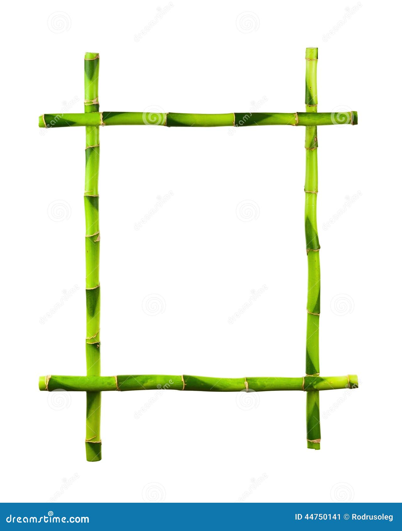 Green Bamboo Frame Isolated on White Background. Stock Image - Image of ...