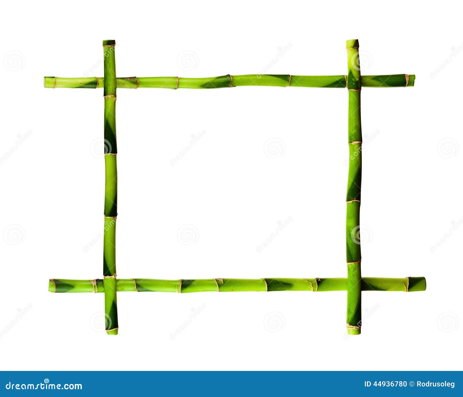 Green Bamboo Frame Isolated on White Background. Stock Photo - Image of ...