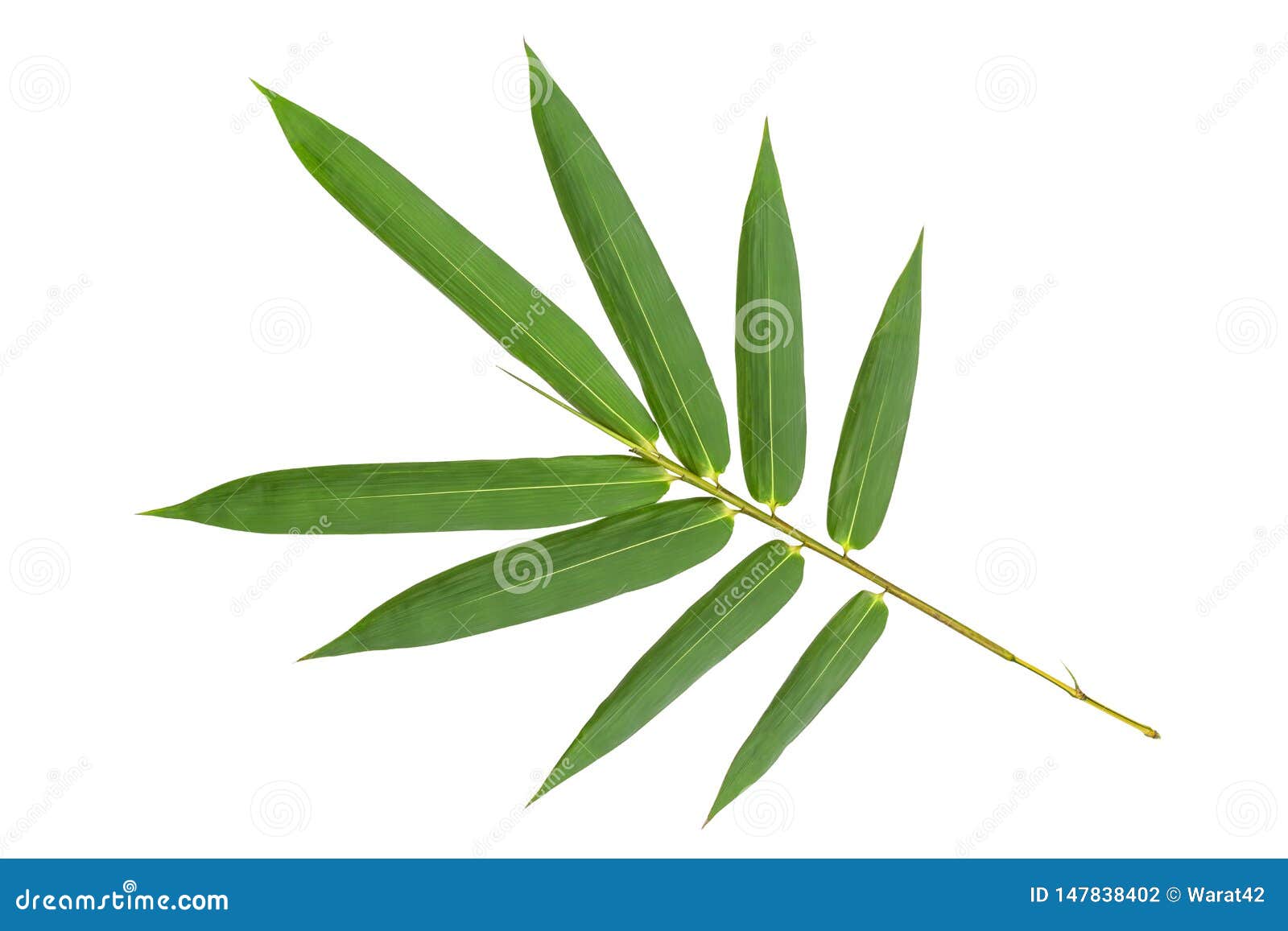 Bamboo Leaves Pattern Stock Photos - Download 5,473 Royalty Free Photos