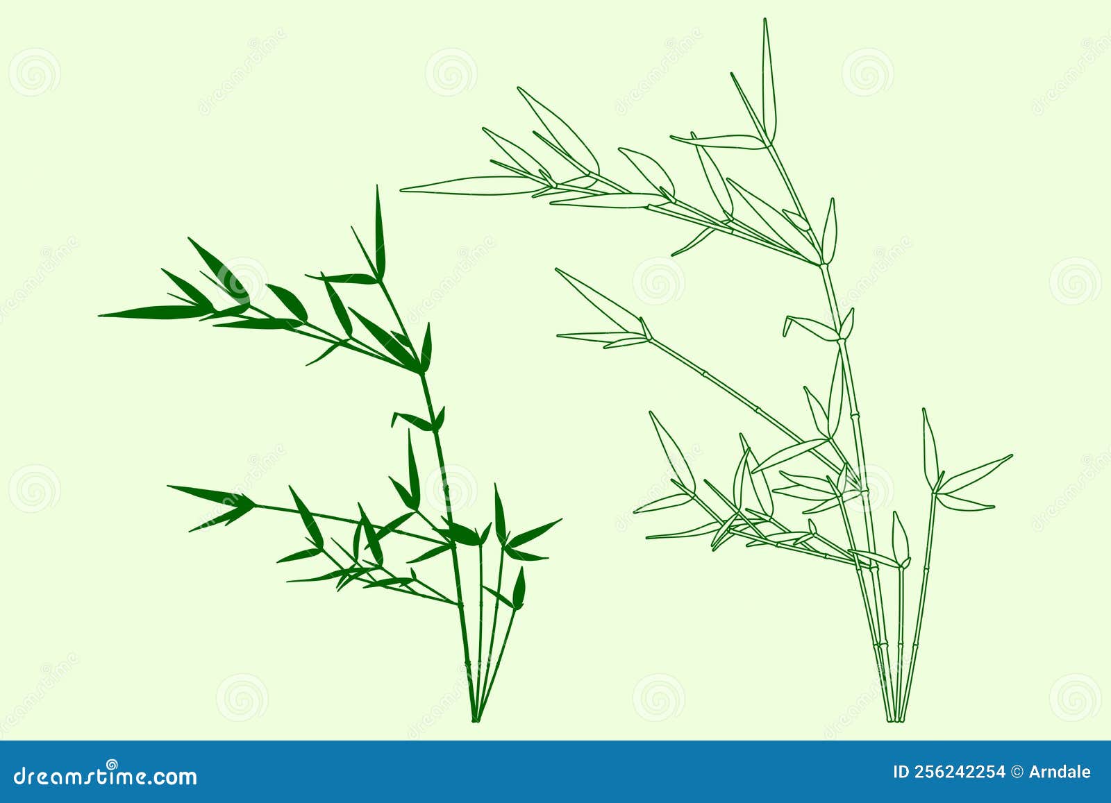 Green bamboo plant stock vector. Illustration of line - 256242254
