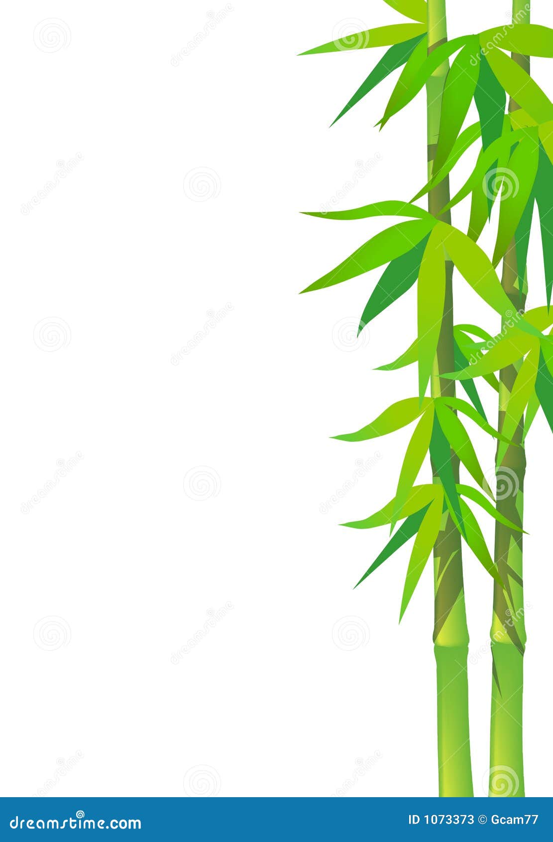 Green Bamboo Frame Vector Wood Design Illustration Nature Isolated ...
