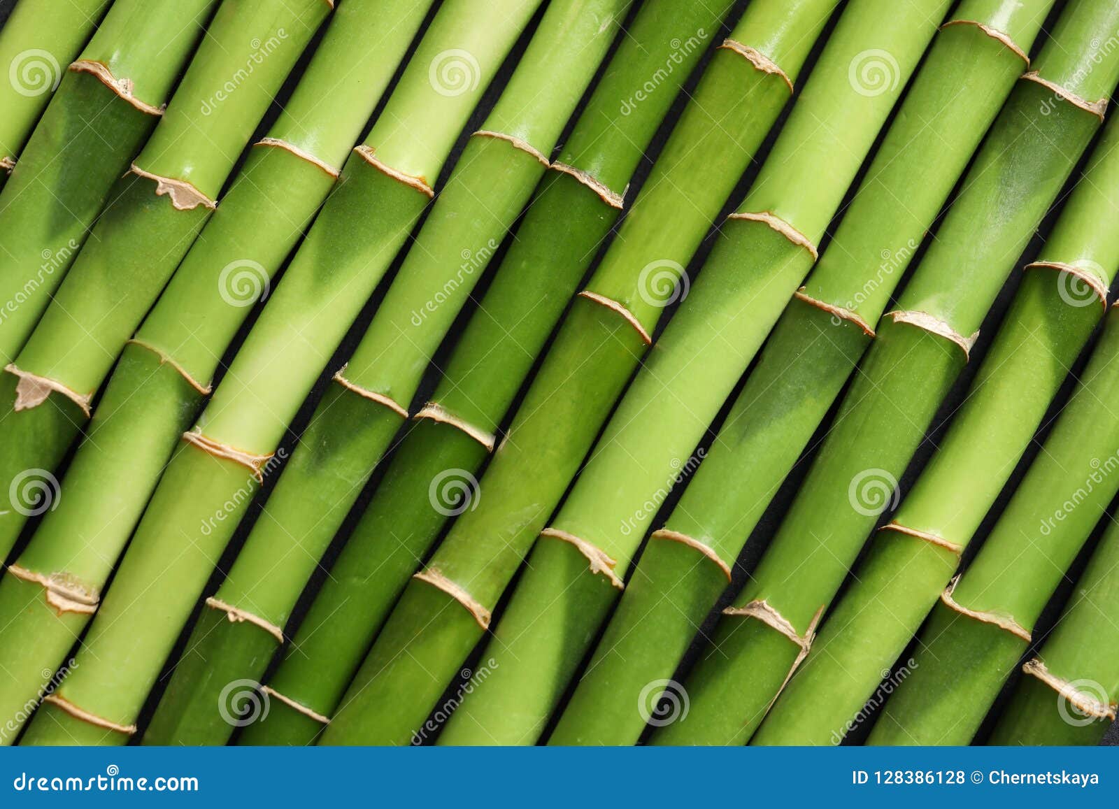 Green Bamboo Stems As Background Stock Photo - Image of fence, garden ...