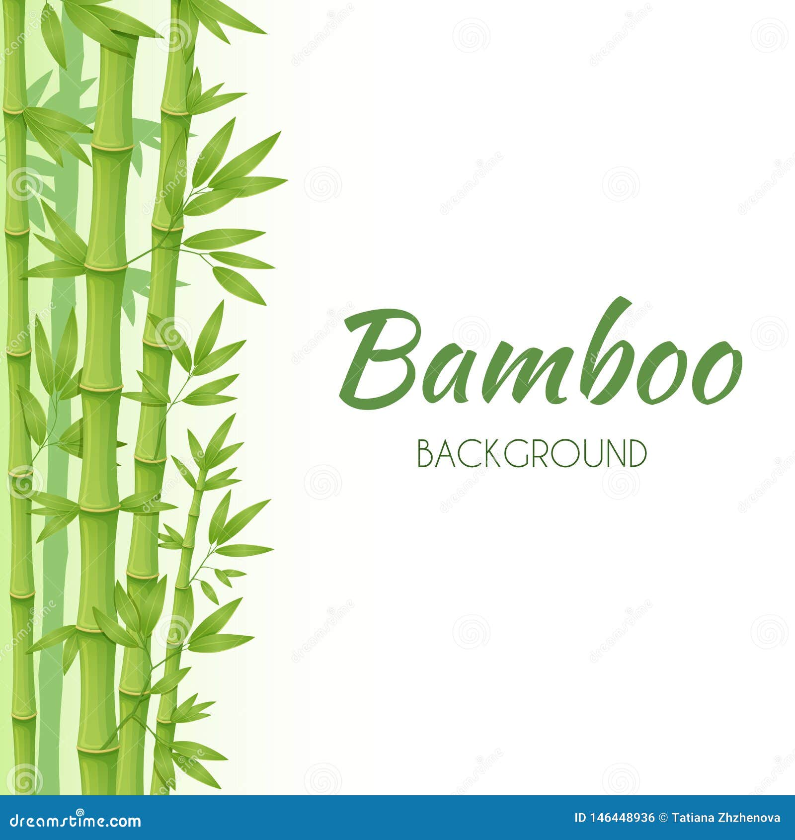 Green Bamboo Stems with Green Leaves on a White Background. Vector ...