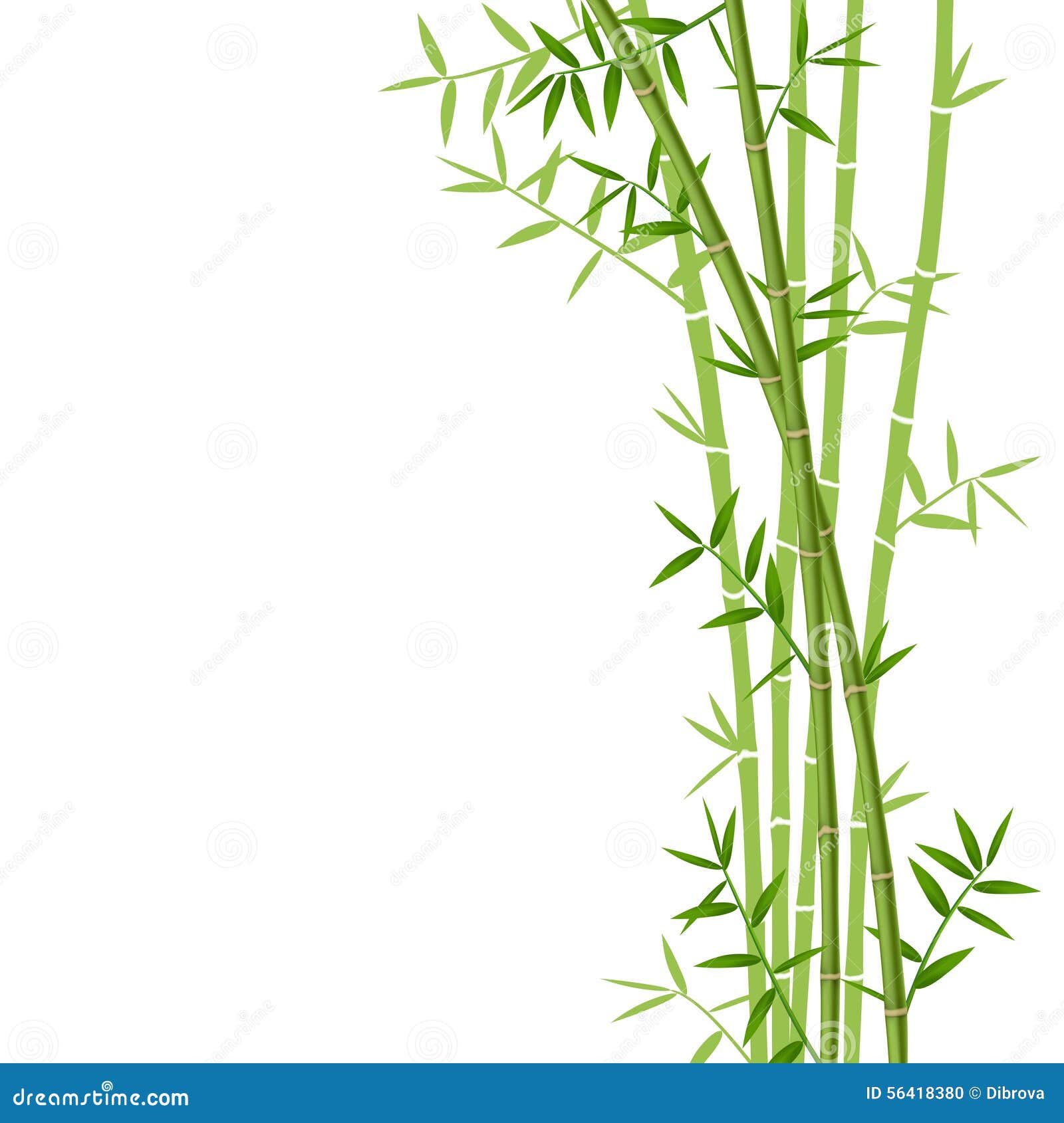 Green Bamboo Texture Background. Bamboo Background Pattern. Cartoon ...