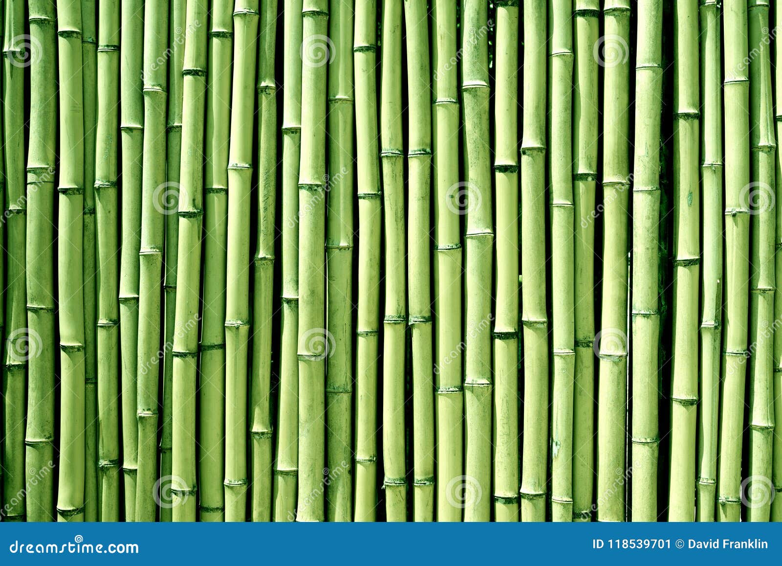 Green Bamboo Wood Wall Background Texture Sticks Stock Image - Image of ...