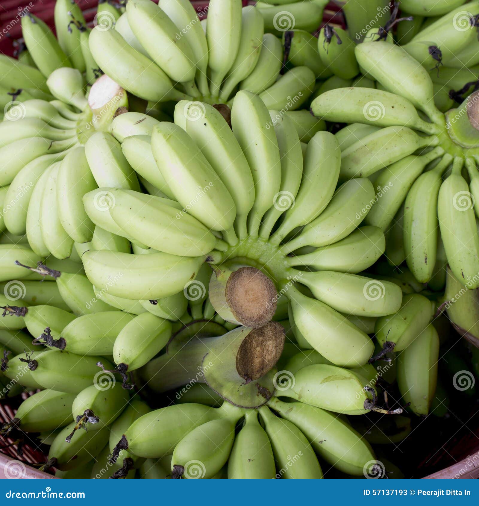 Green Banana Bundle in Basket Ready To Sell Stock Image - Image of ...
