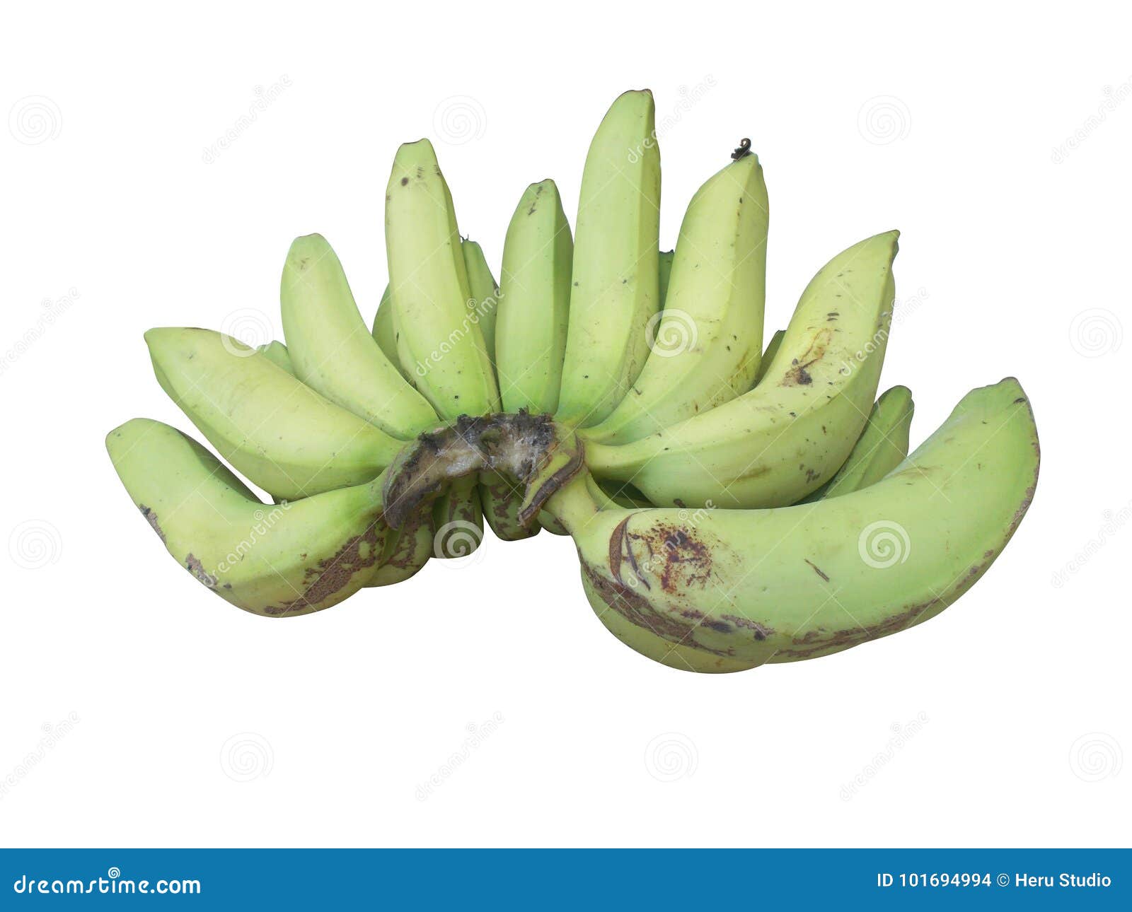 Green Banana Fruit One Bunch Stock Photo - Image of group, fruit: 101694994
