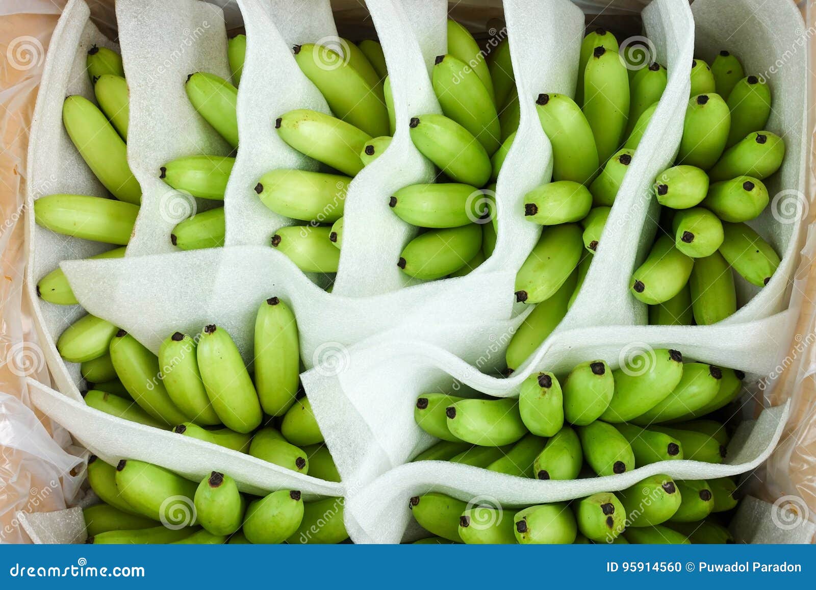 Green bananas in a box stock photo. Image of nature, sweet - 95914560