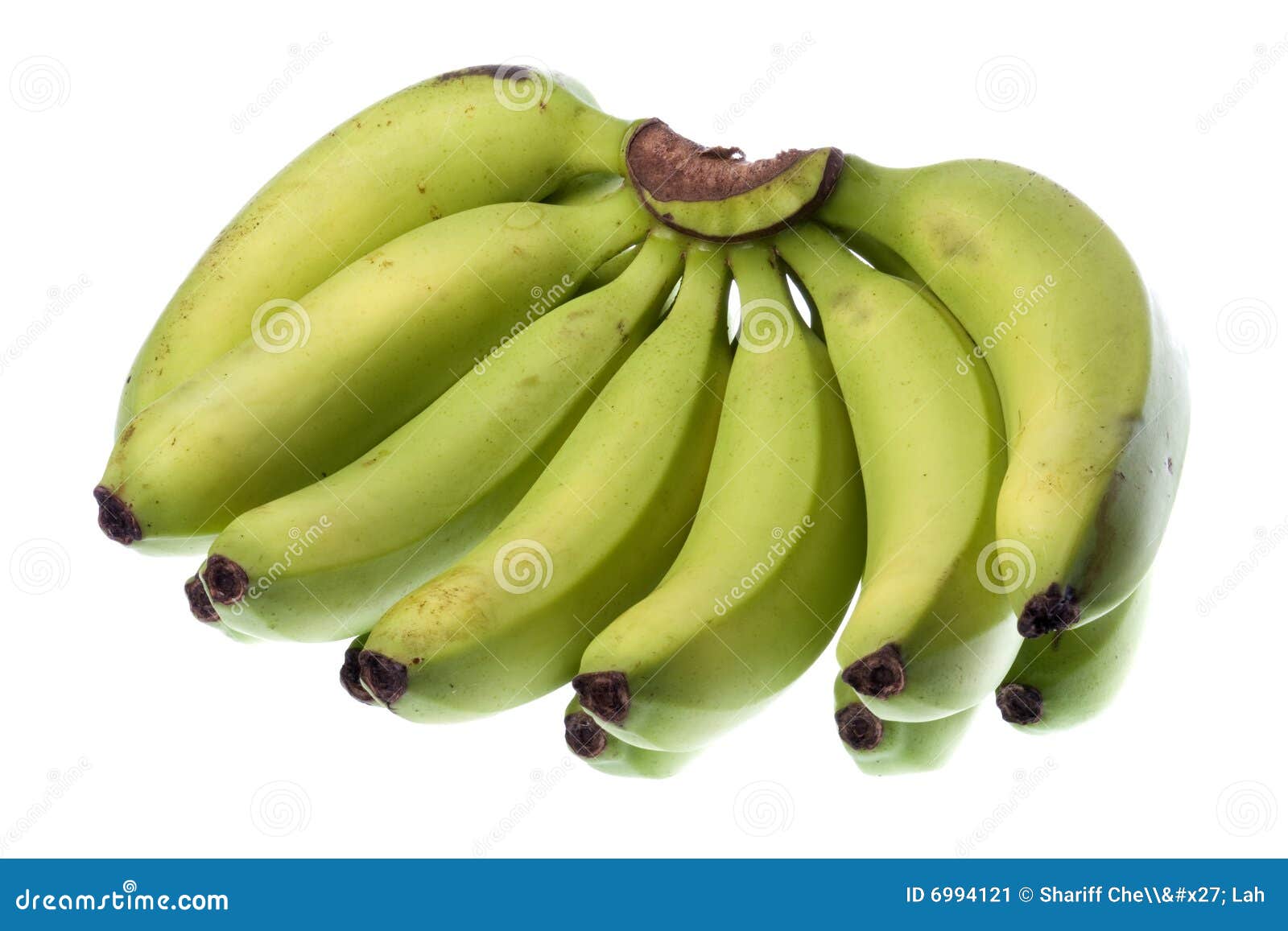 Green Bananas Isolated stock image. Image of potassium - 6994121