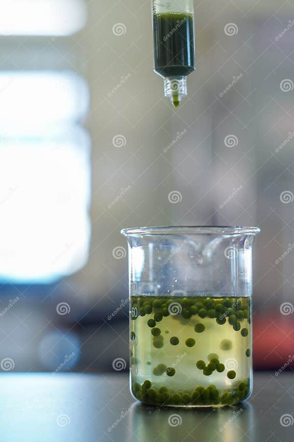Green Bead in Lab Beaker and Syringe Stock Photo - Image of ...