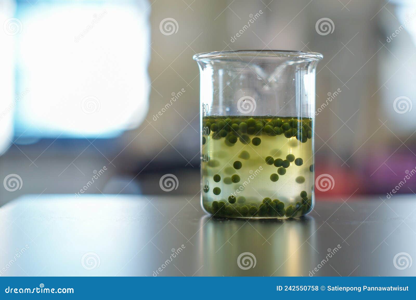 Green bead in lab beaker stock photo. Image of fluid - 242550758