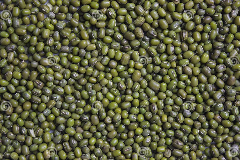 Green bean background stock photo. Image of abstract - 186995066