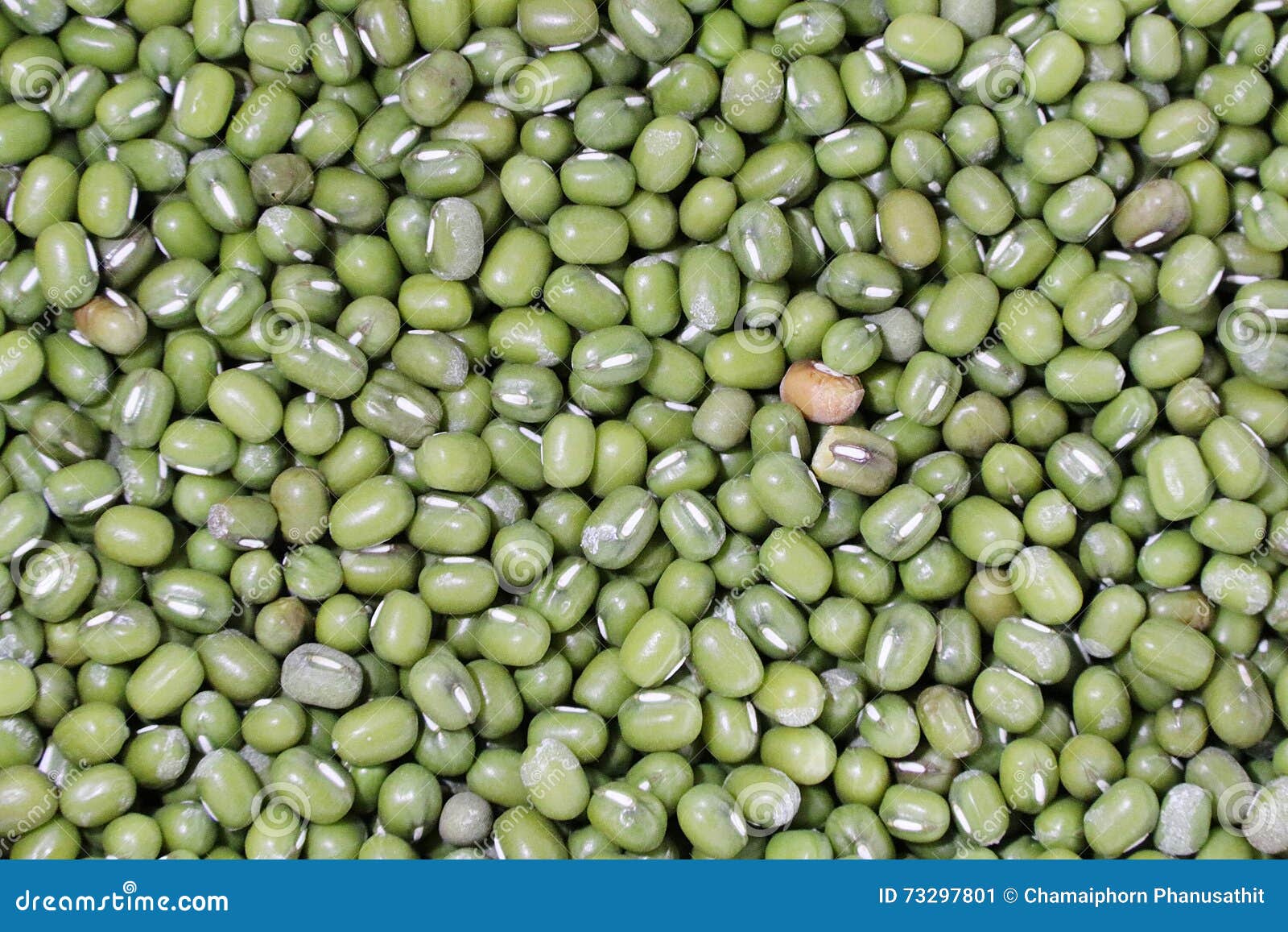 Green bean stock image. Image of greenbeanbackground - 73297801