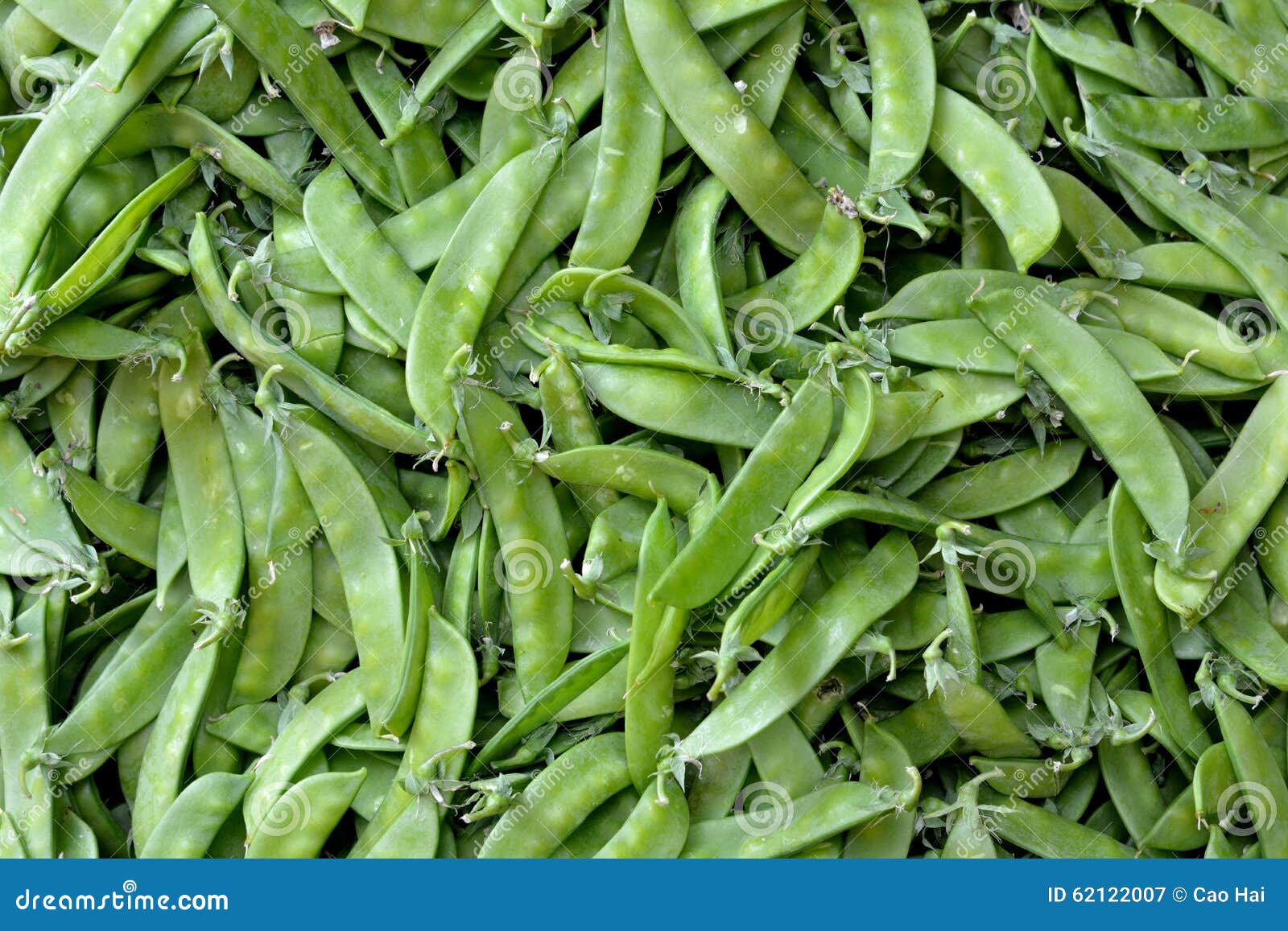 Green bean background stock image. Image of background - 62122007