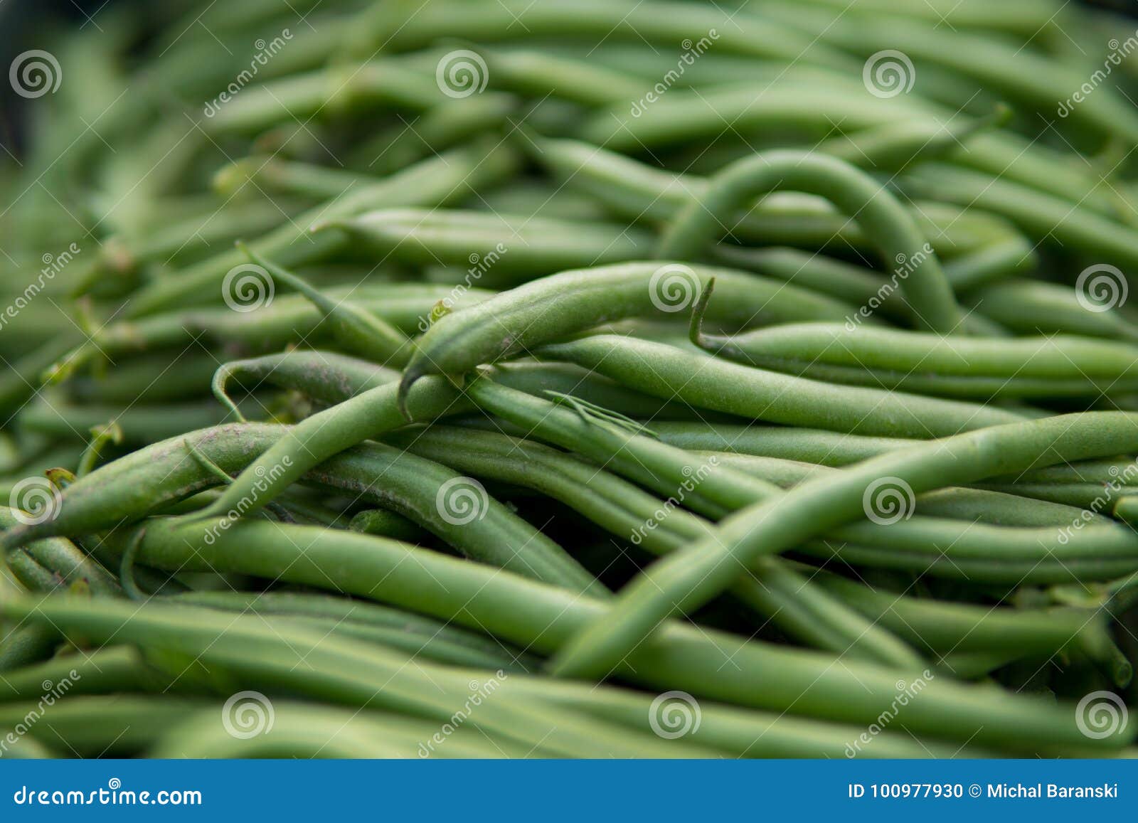 Green bean stock photo. Image of food, ingredient, bean - 100977930
