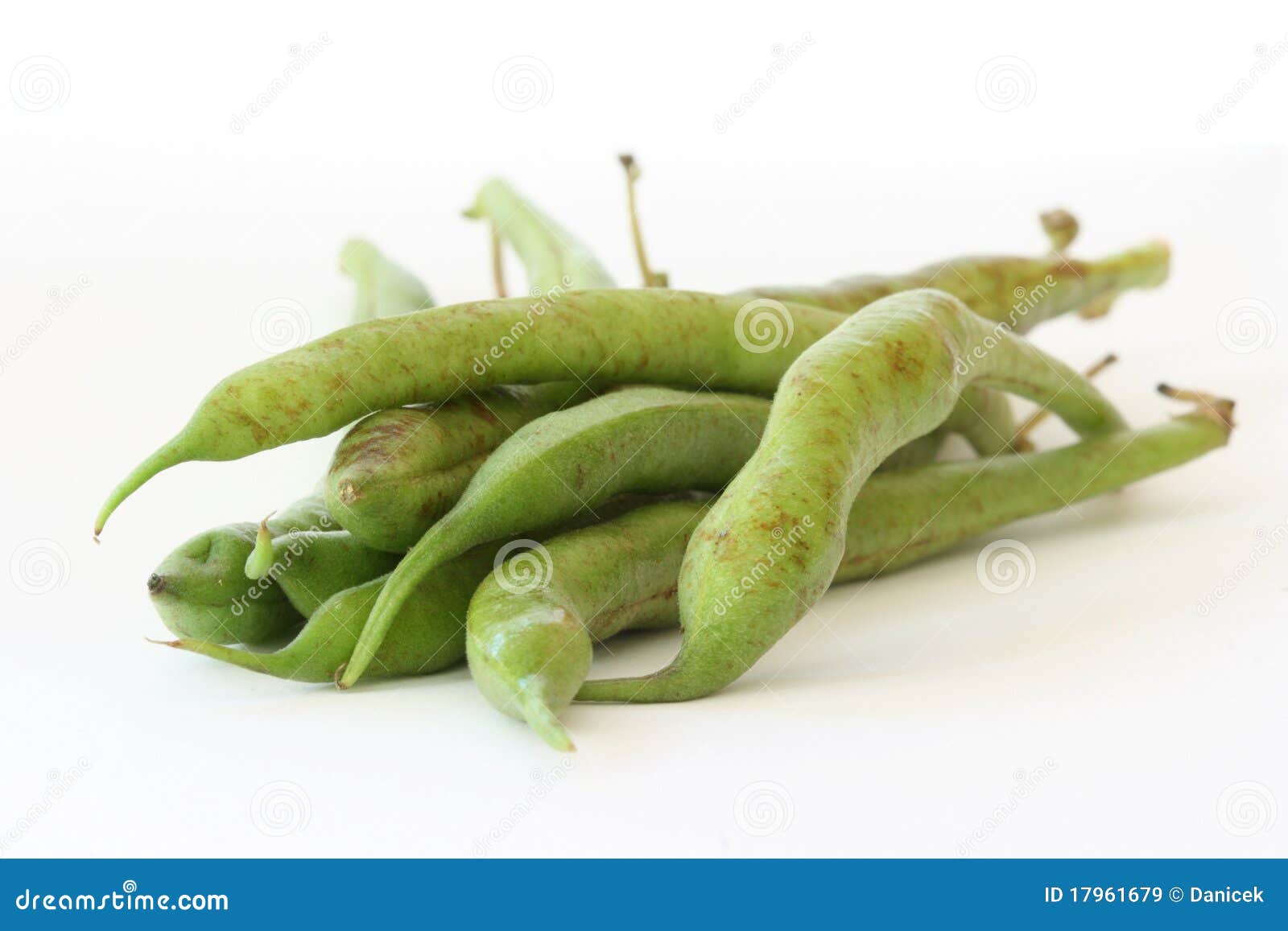 Green bean pods detail stock image. Image of bean, vegetable - 17961679