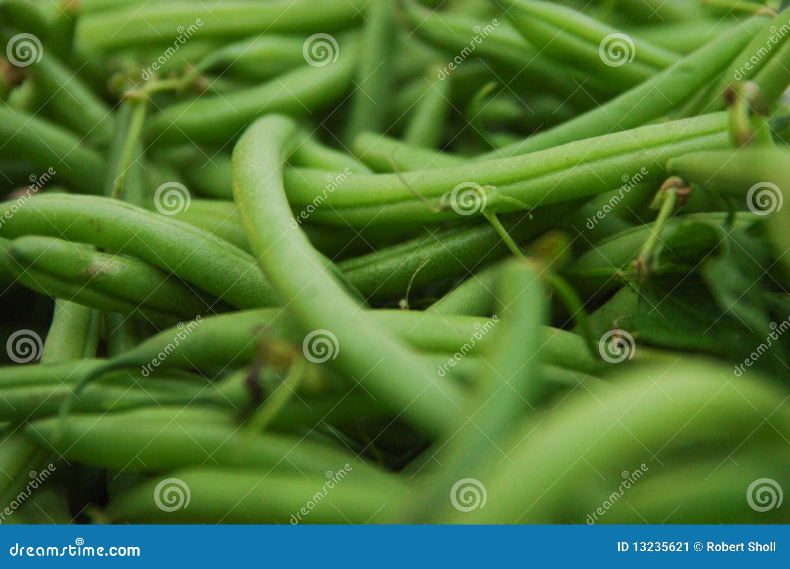 Green Beans stock image. Image of diet, legumes, vegetable - 13235621