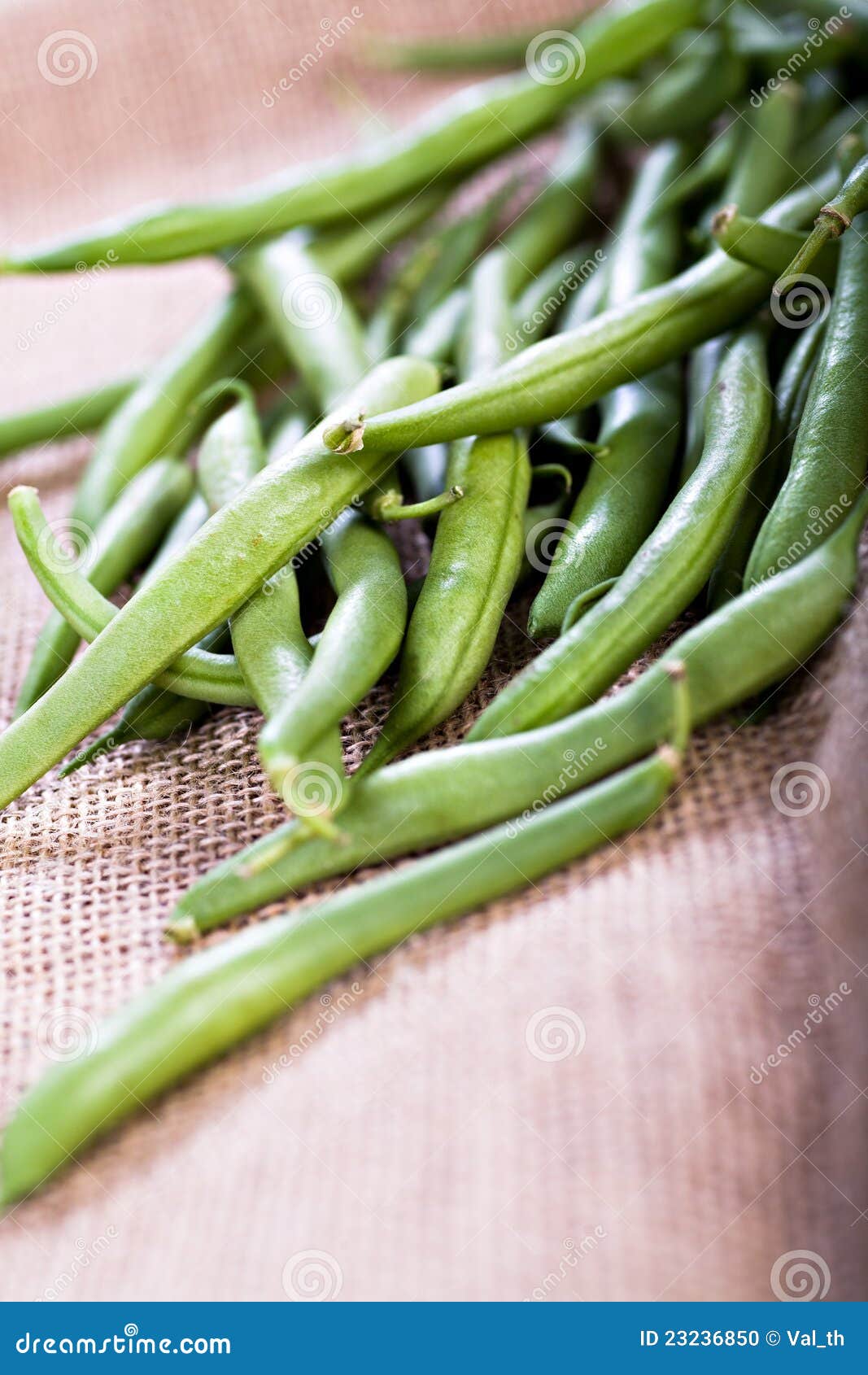 Green beans stock photo. Image of organic, pile, gourmet - 23236850
