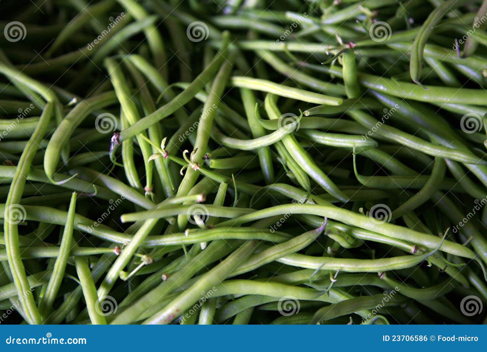 Green beans stock photo. Image of selective, green, vegetable - 23706586