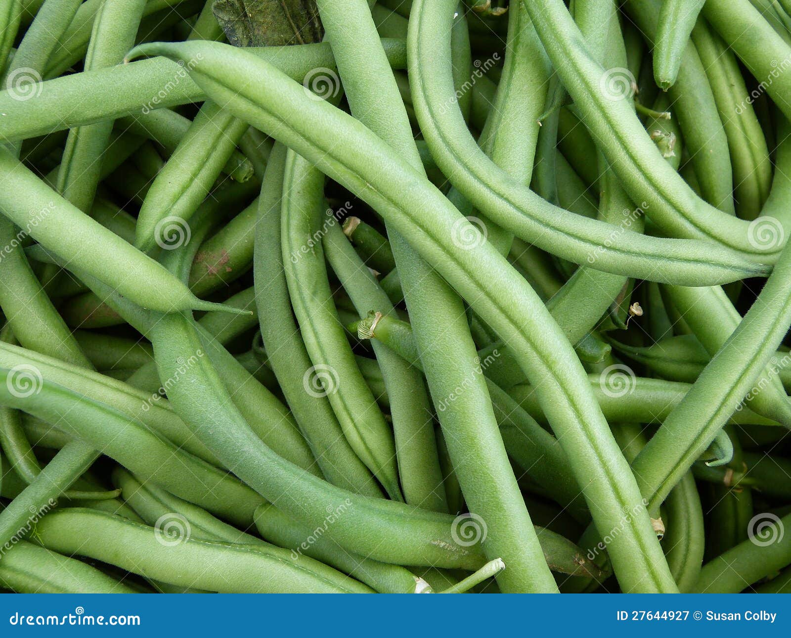 Green beans stock image. Image of apricots, garden, colorful - 27644927