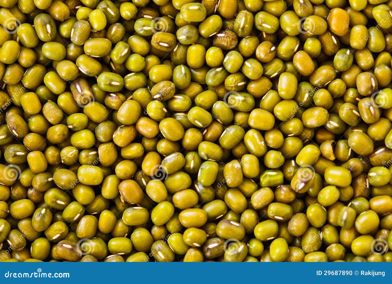 Green beans stock photo. Image of food, selling, feed - 29687890