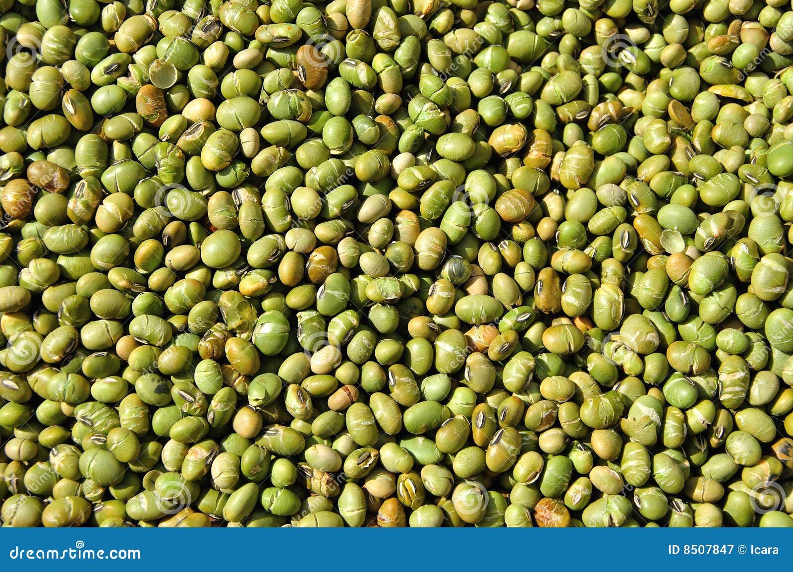 Green Beans stock image. Image of brown, kitchen, grain - 8507847