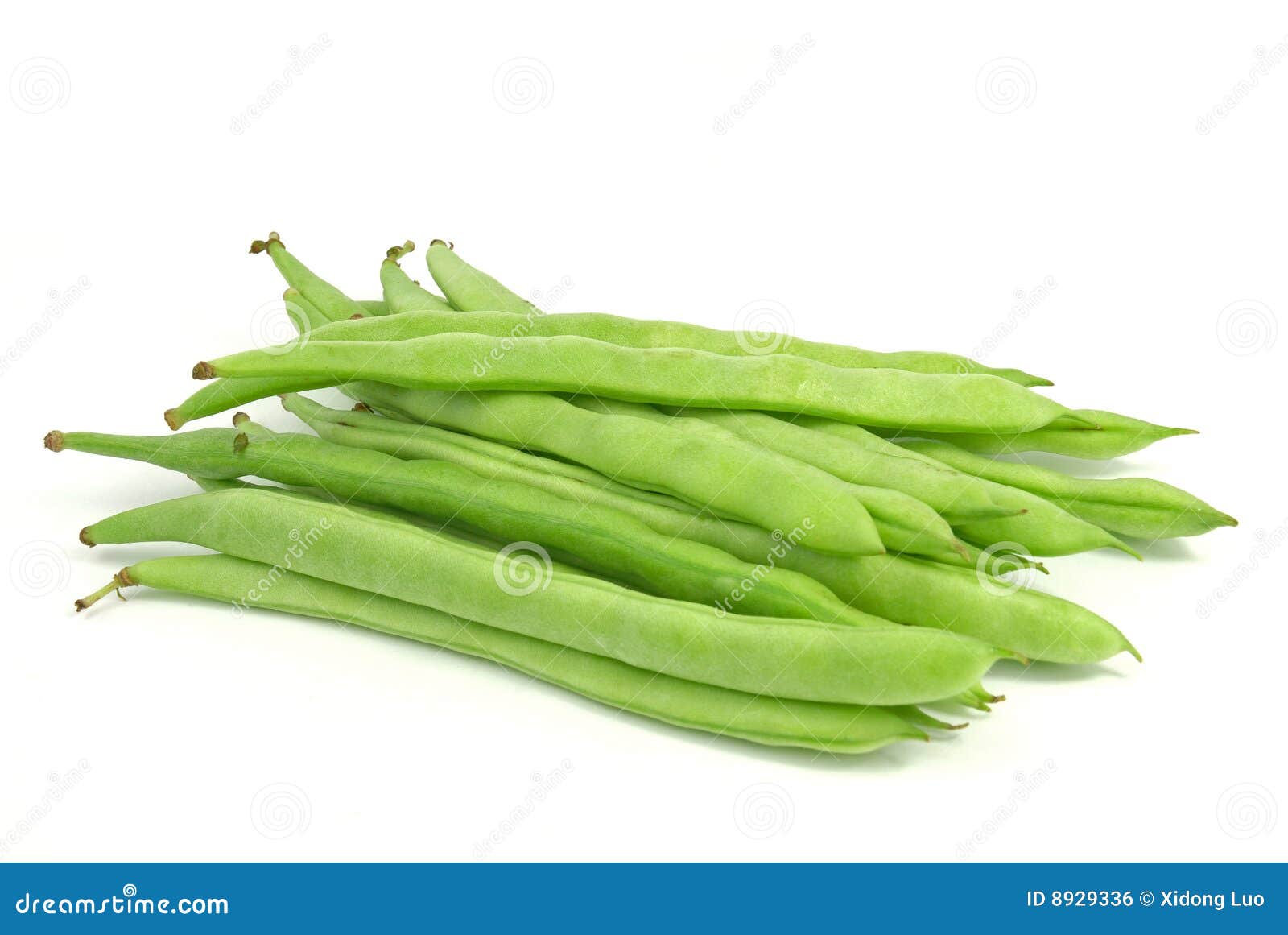 Green Beans stock photo. Image of closeup, eating, vegetarian - 8929336