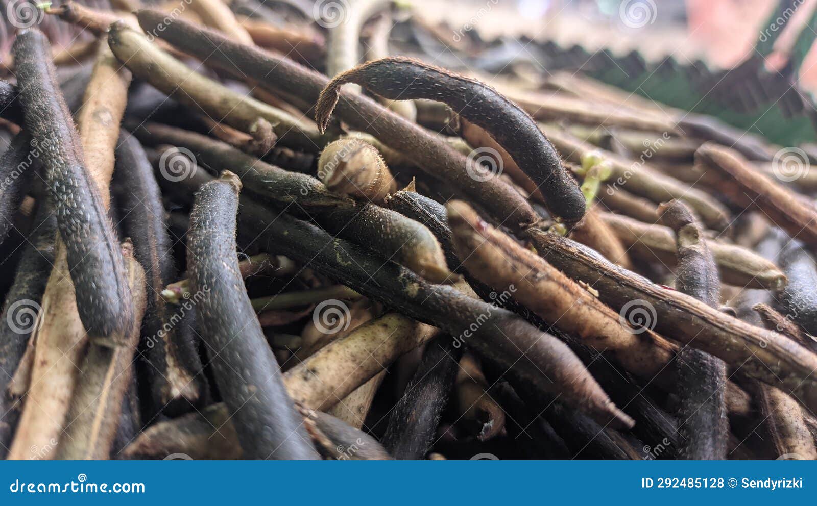 Green Beans Can Be Processed into Various Processed Variants Stock ...