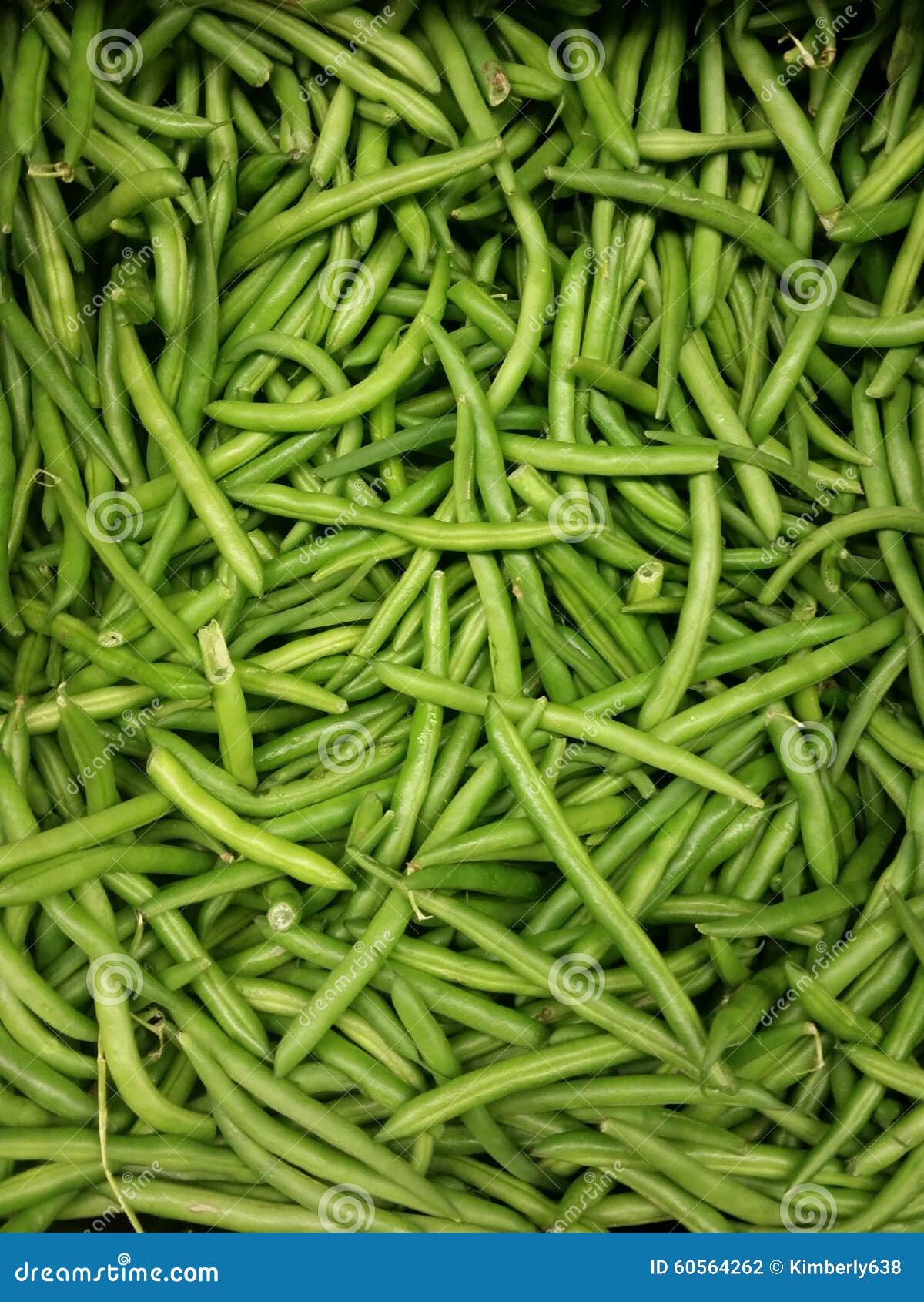Green beans stock photo. Image of green, beans, farm - 60564262