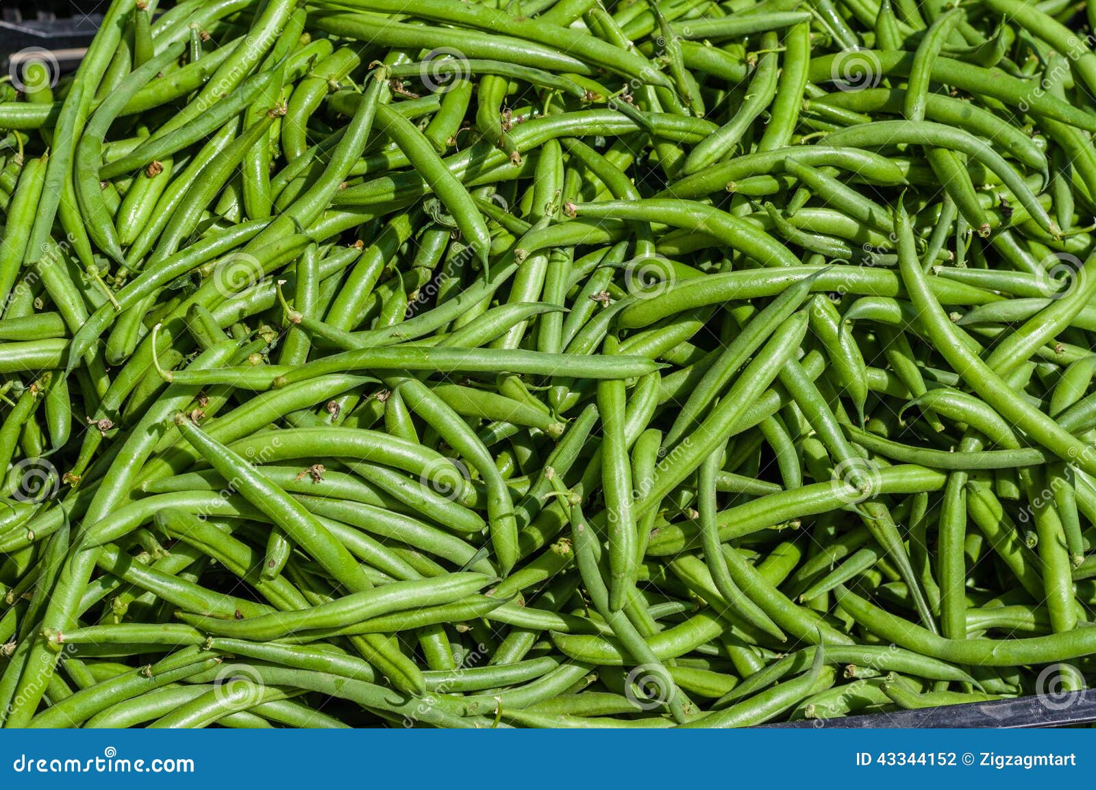 Green Beans on Display at the Farmers Market Stock Photo - Image of ...