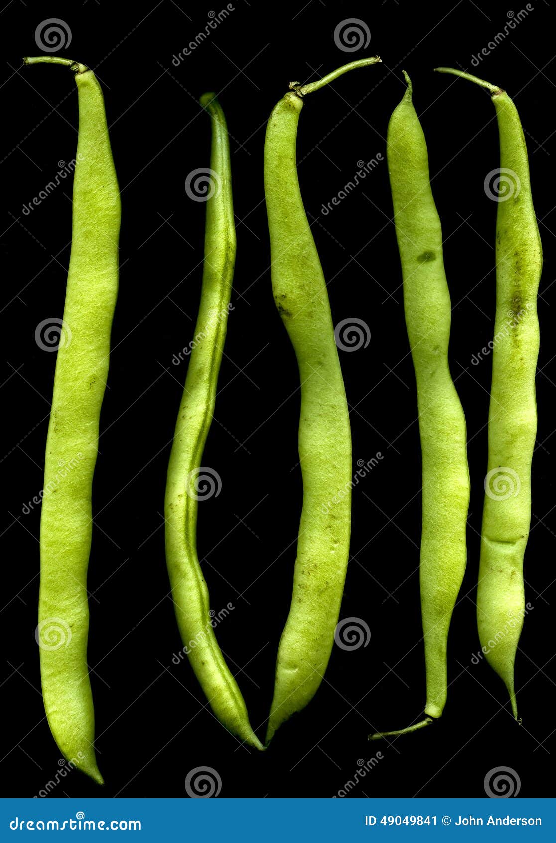 Green beans stock image. Image of bean, health, green - 49049841