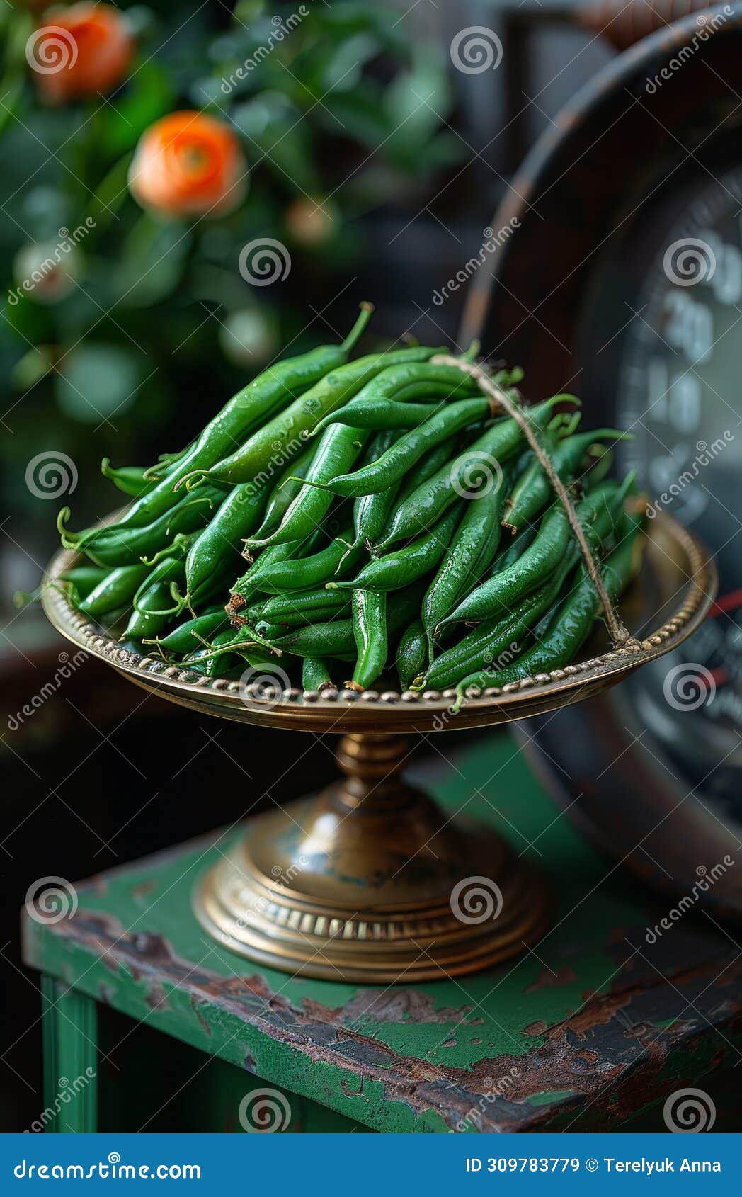 Green Beans on Golden Stand Stock Image - Image of healthy, table ...