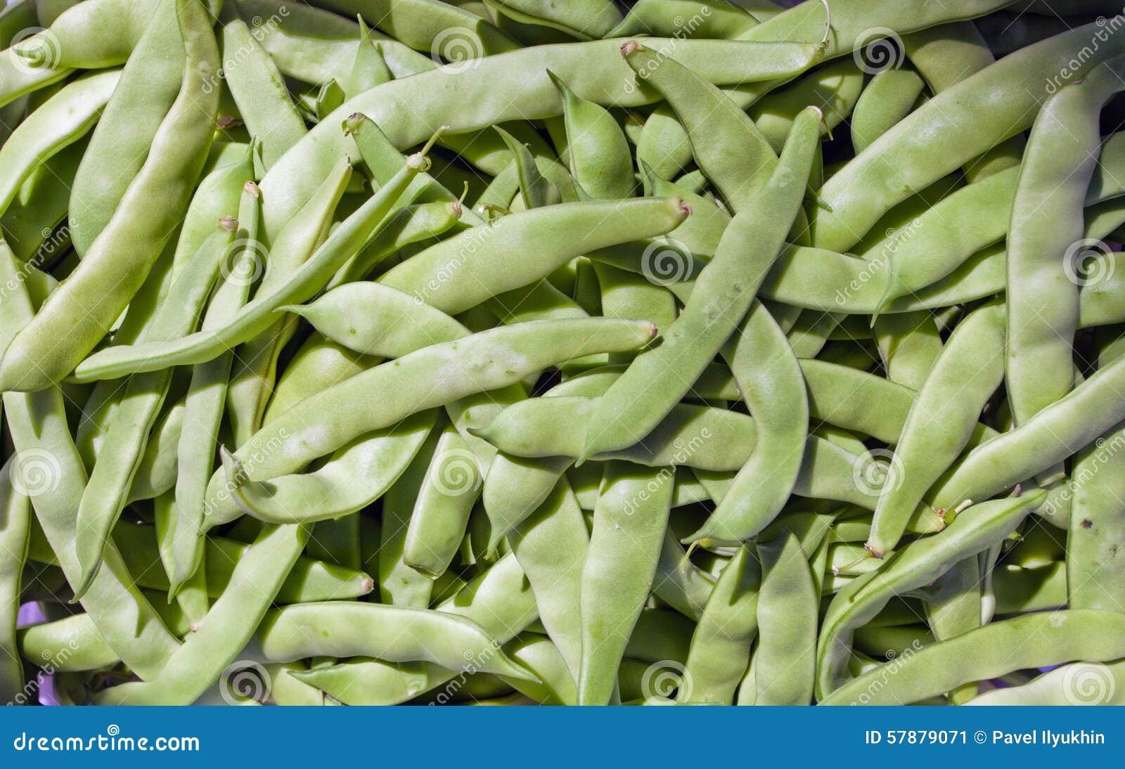 Green beans in the market. stock image. Image of agriculture - 57879071