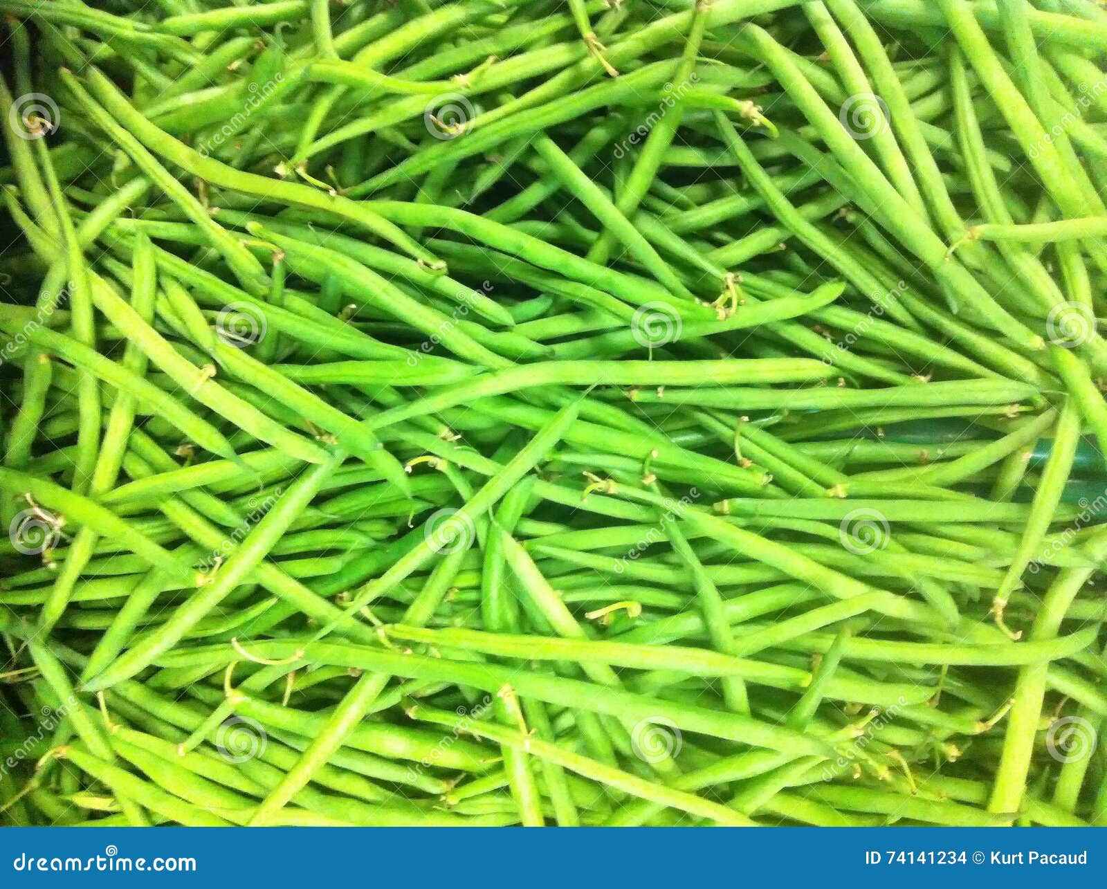 Green Beans, String Beans, Snap Beans Stock Photo - Image of healthy ...
