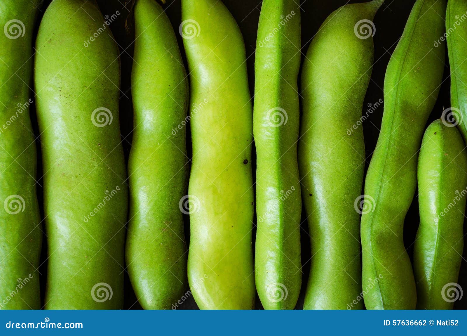Green beans texture stock photo. Image of nutritious - 57636662