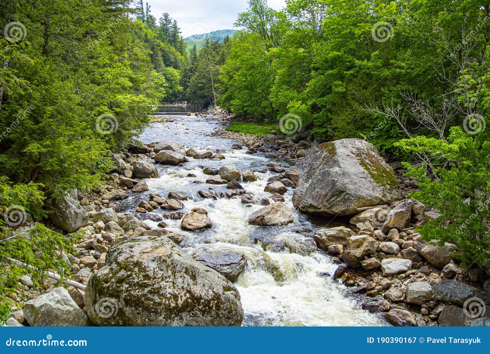 Green Adirondack mountains stock image. Image of beauty - 190390167