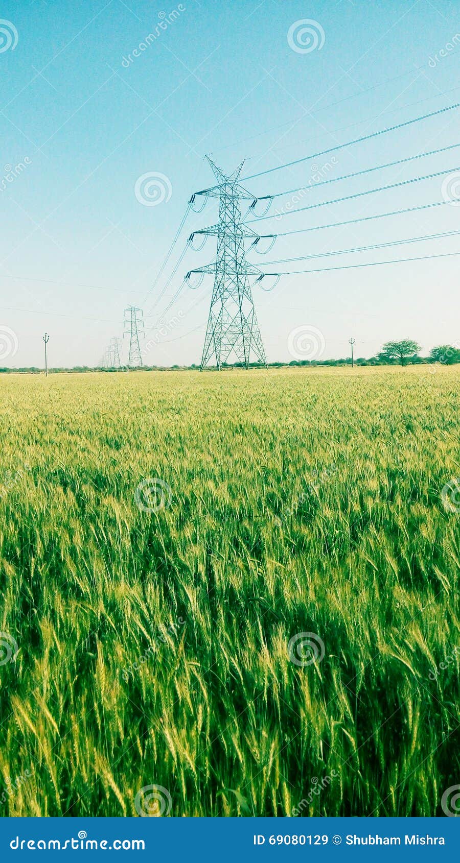 A Field And The Tower Stock Photography | CartoonDealer.com #84006860