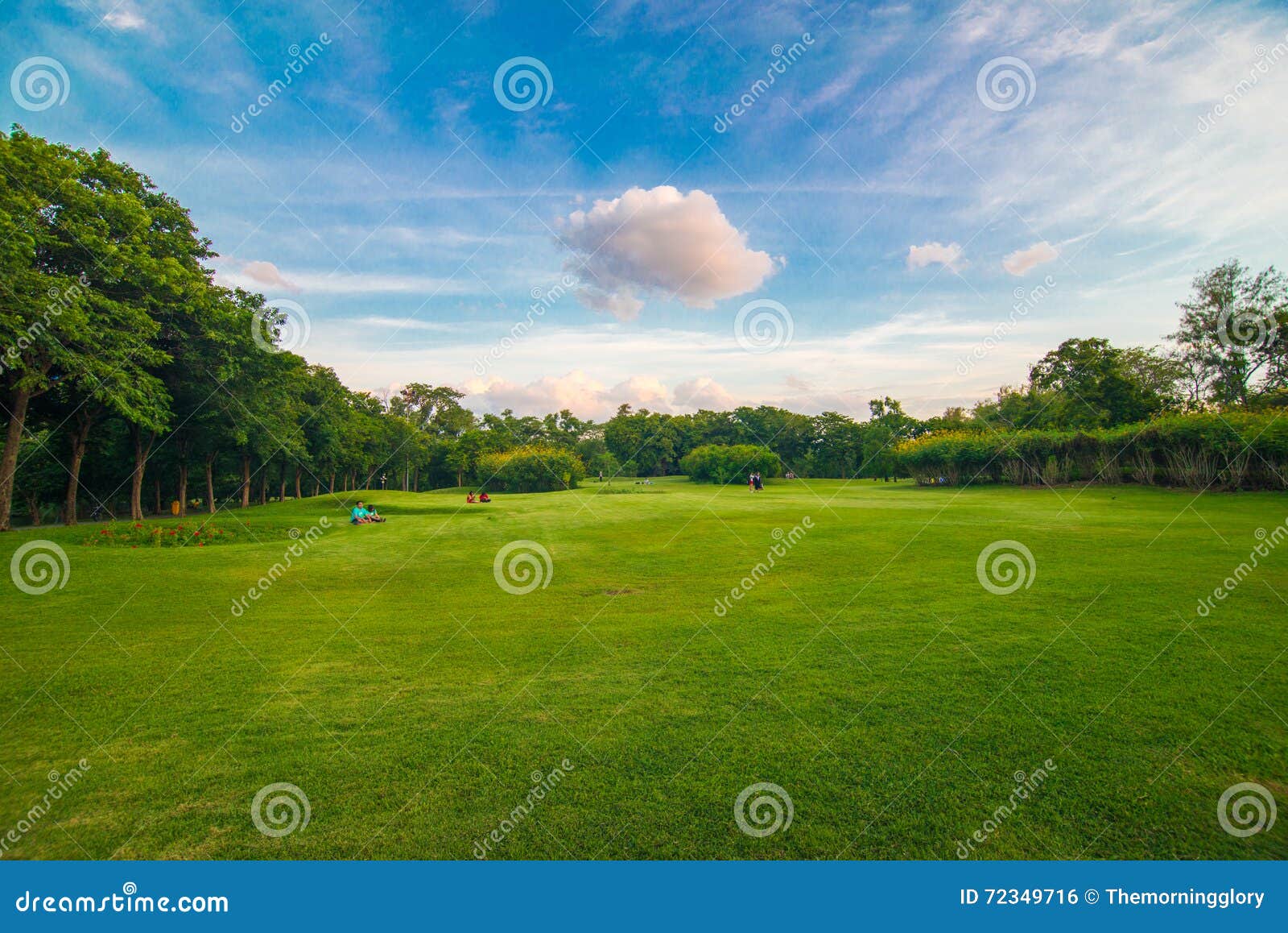 Green Beautiful Park and Blue Sky Editorial Photo - Image of cloudscape ...