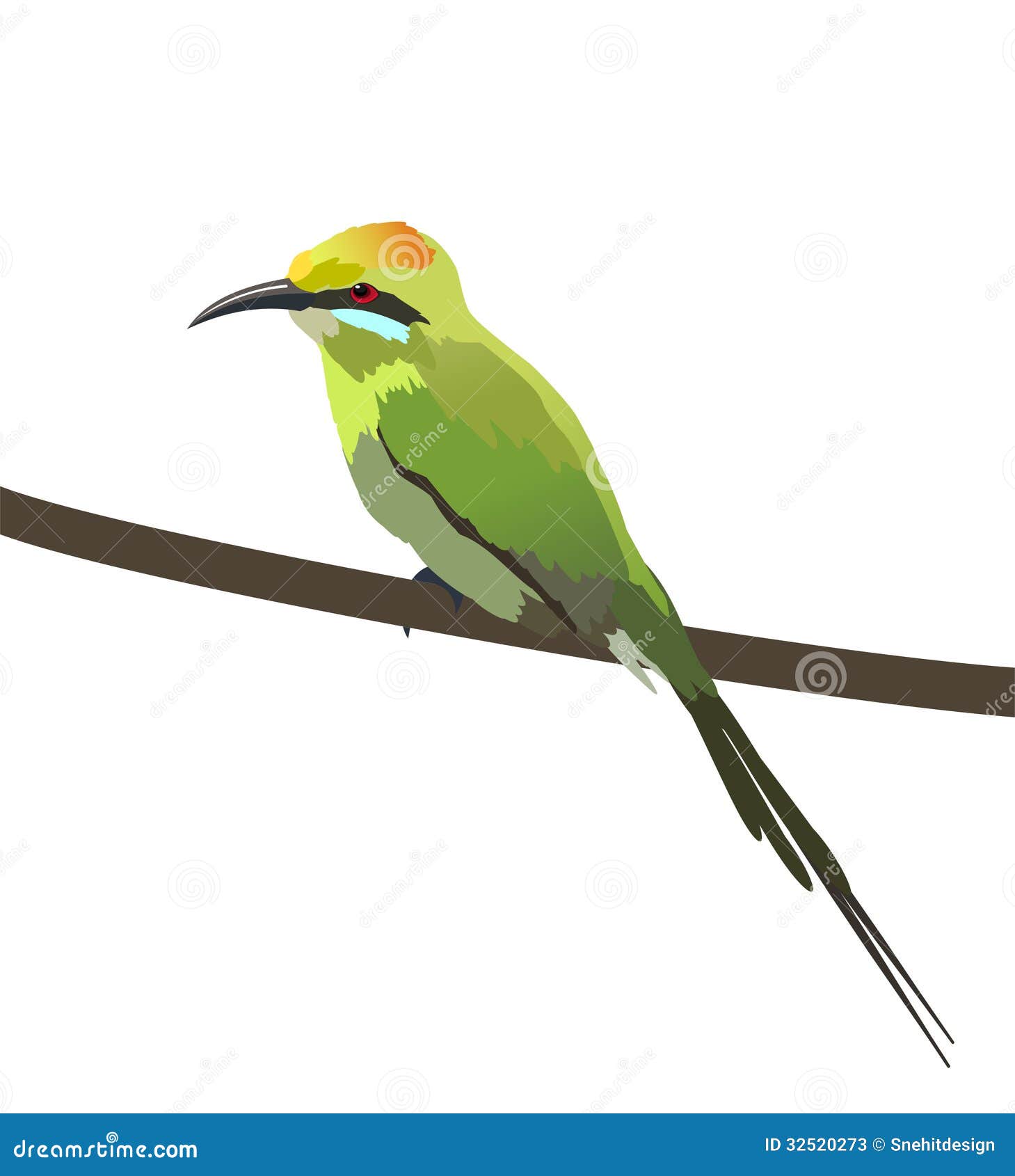Green bee eater stock illustration. Illustration of bird - 32520273