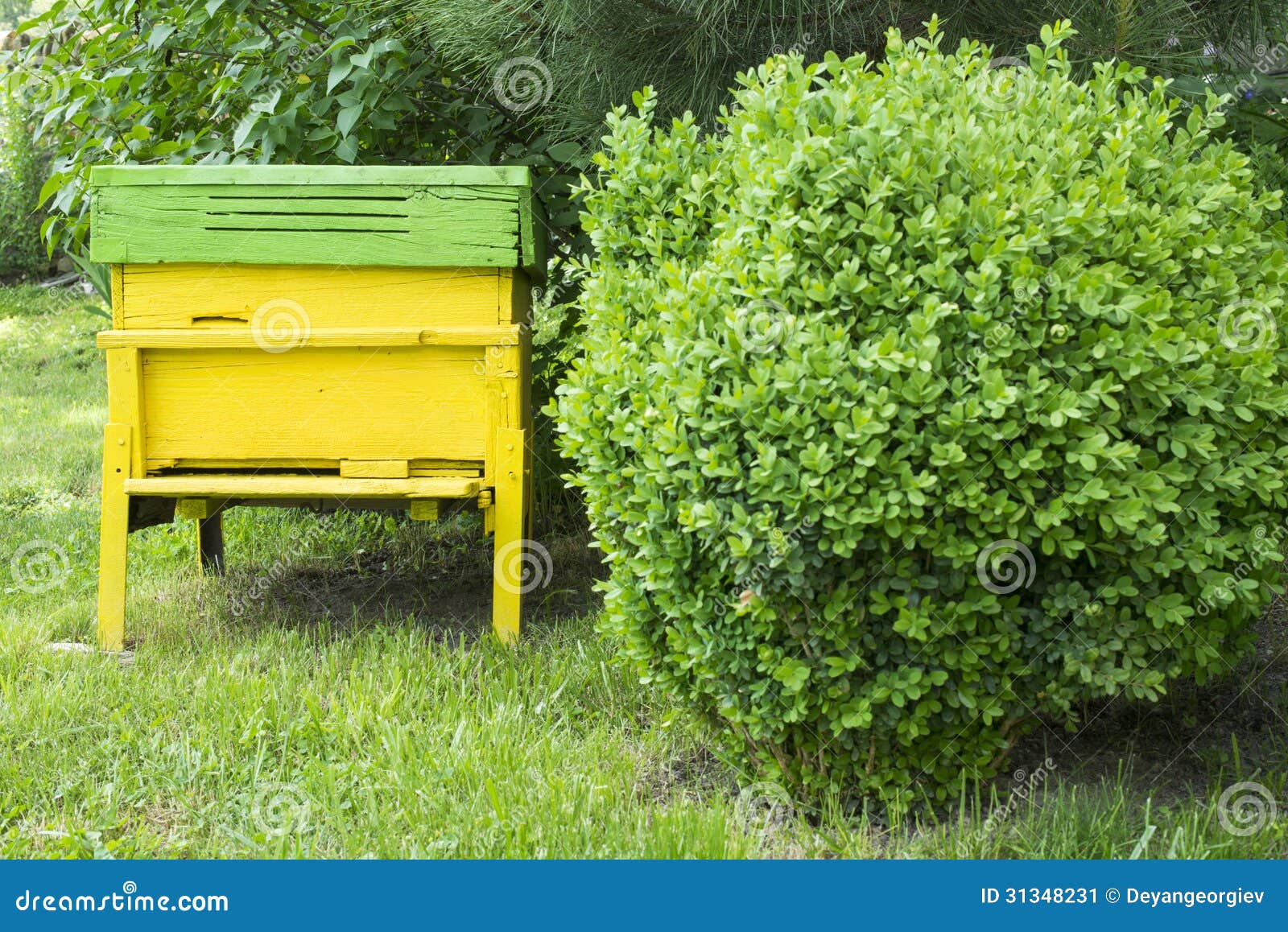 Green beehive stock image. Image of colorful, village - 31348231